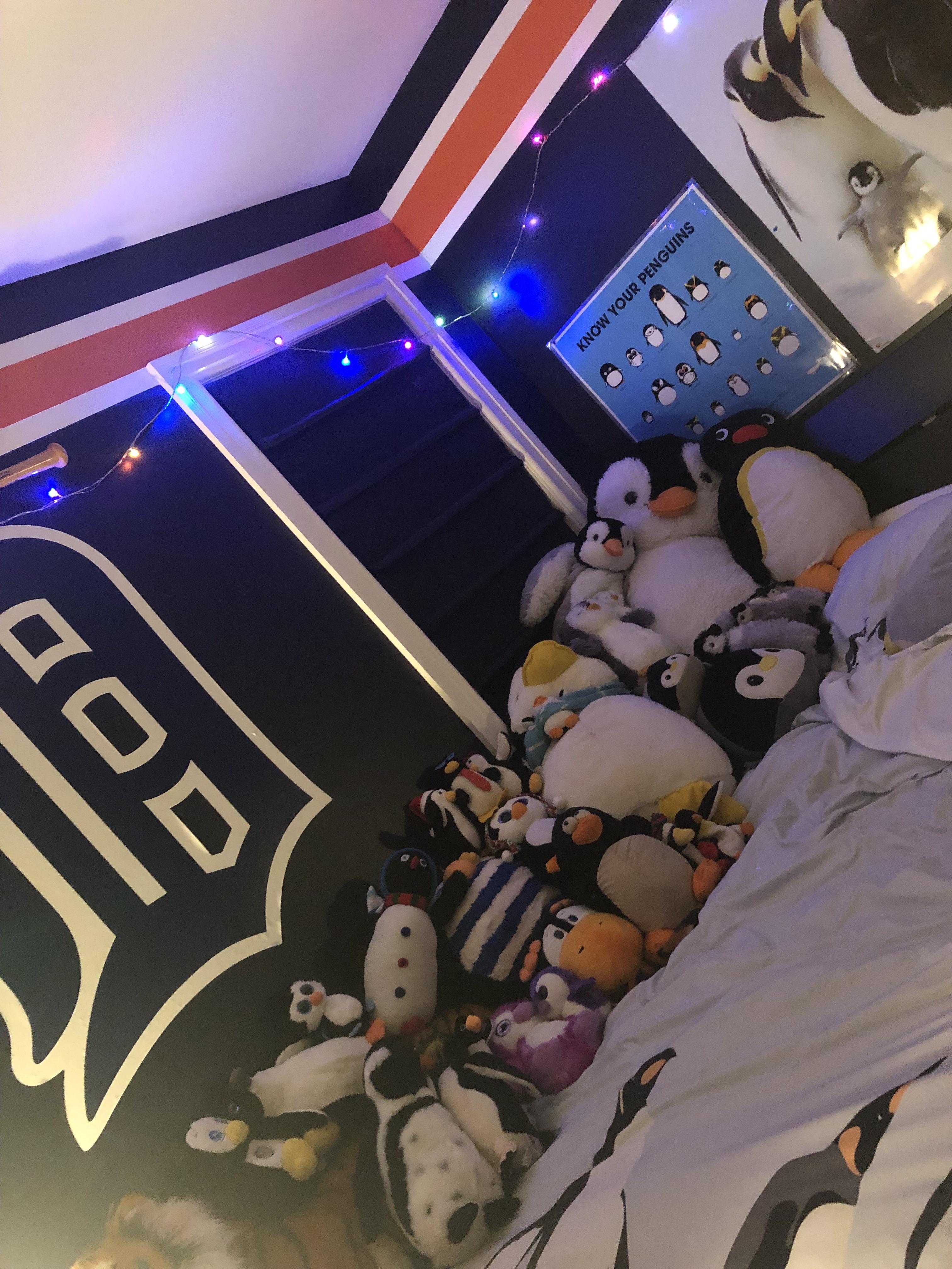 My penguin collection after 4 years | Scrolller