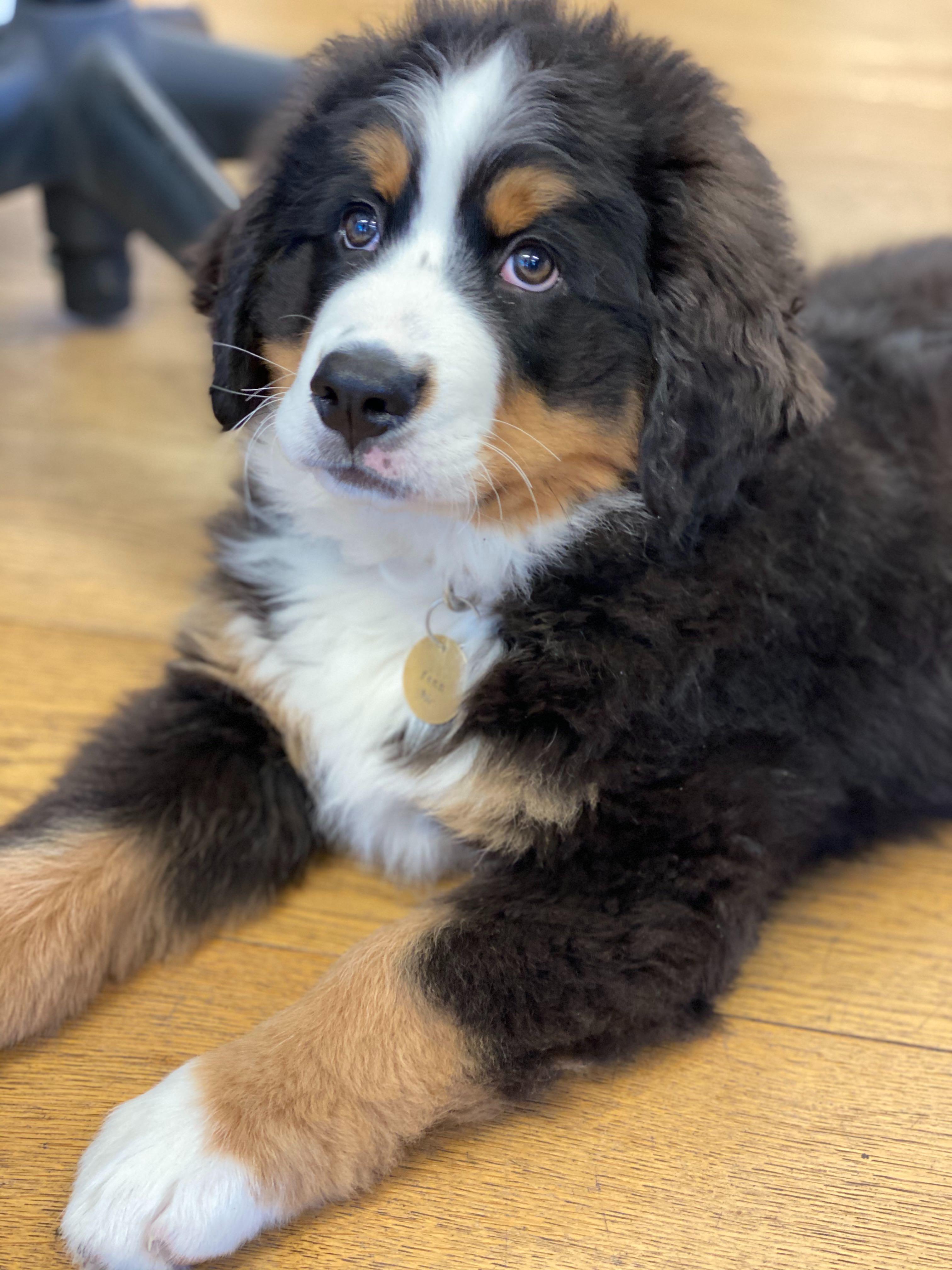 My personal assistant | Scrolller