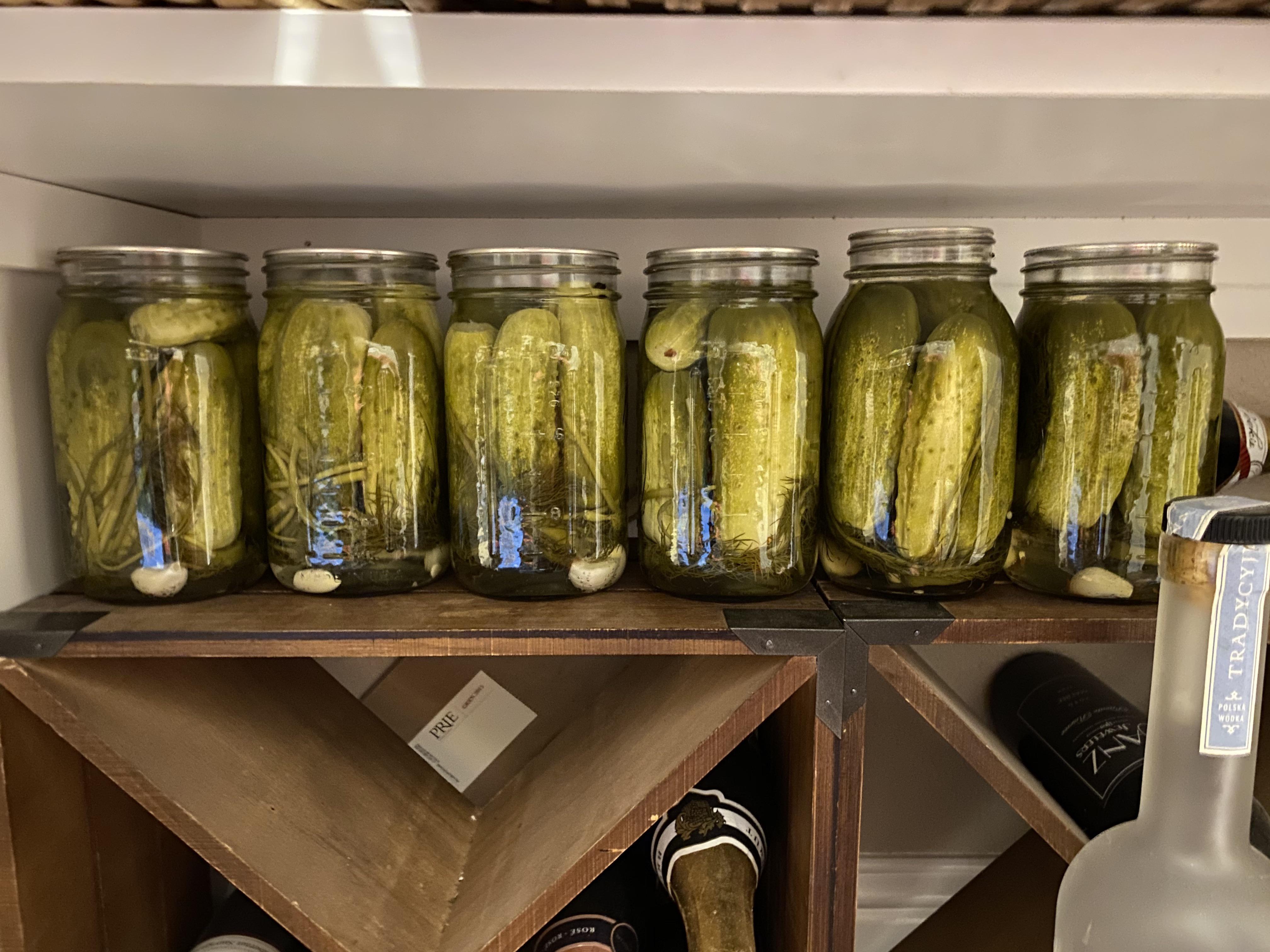 My Pickle Stash | Scrolller