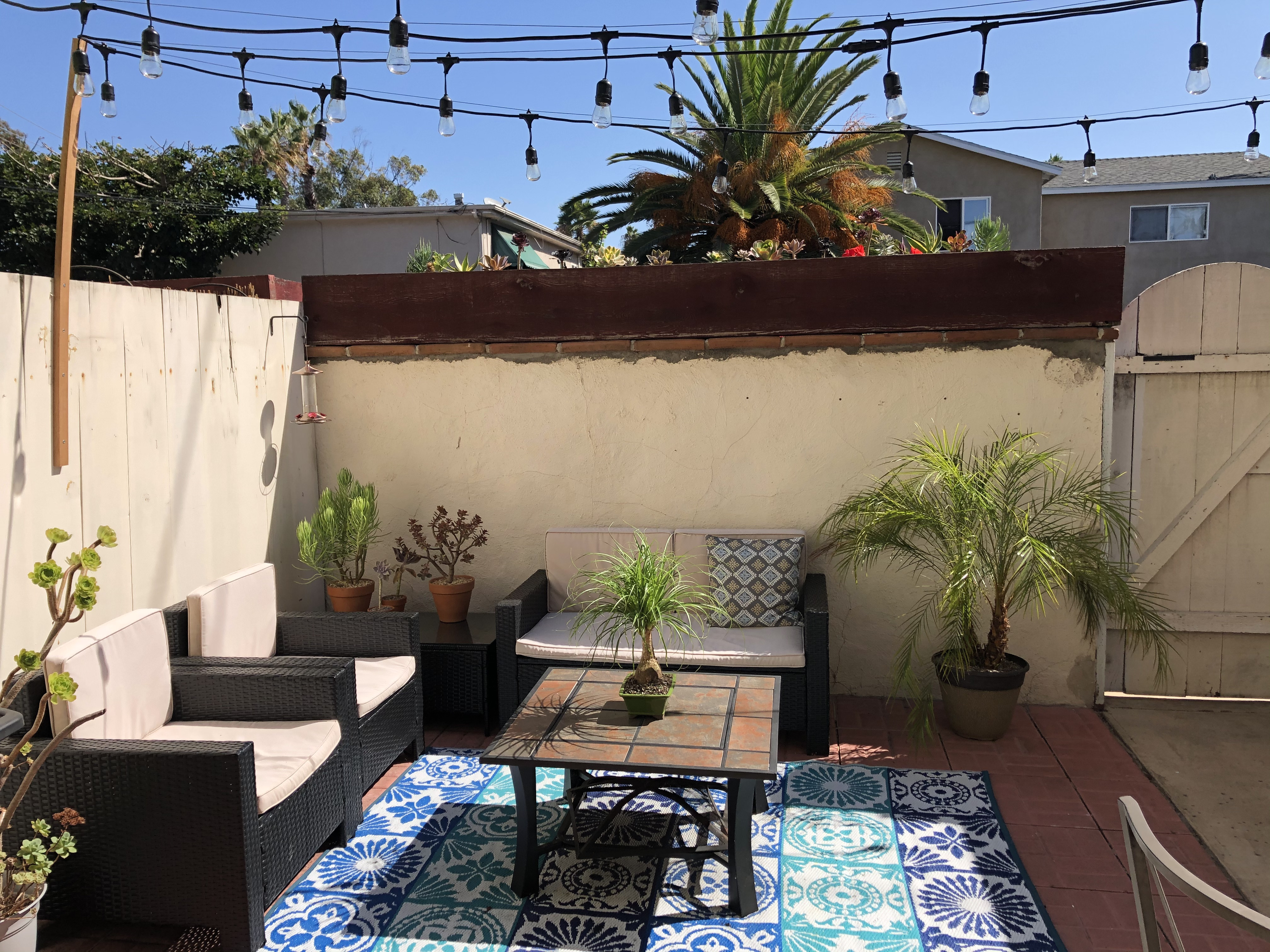 My quarantine oasis | Scrolller