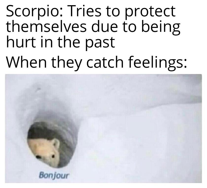 My Scorpio Venus be like | Scrolller