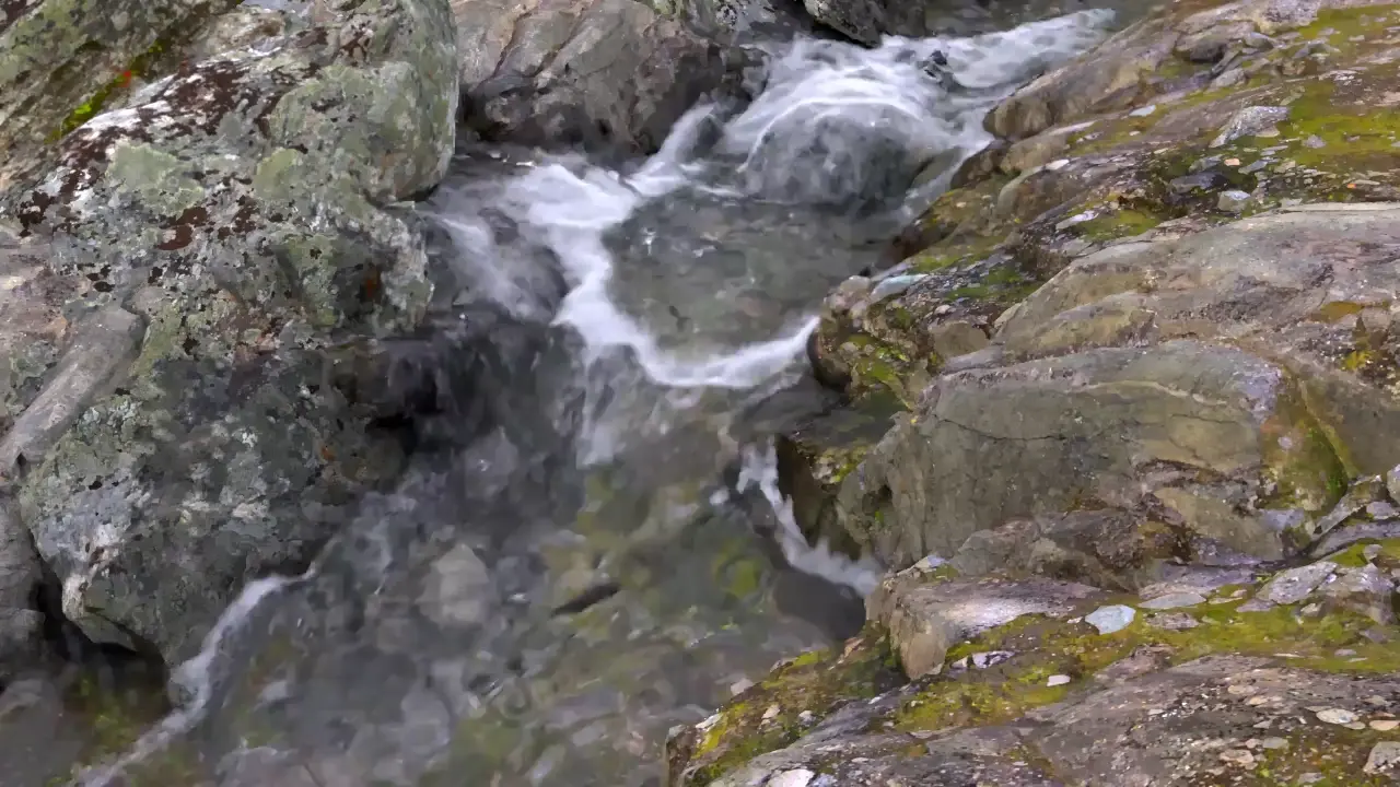 My second attempt at a Flip Sim | Scrolller