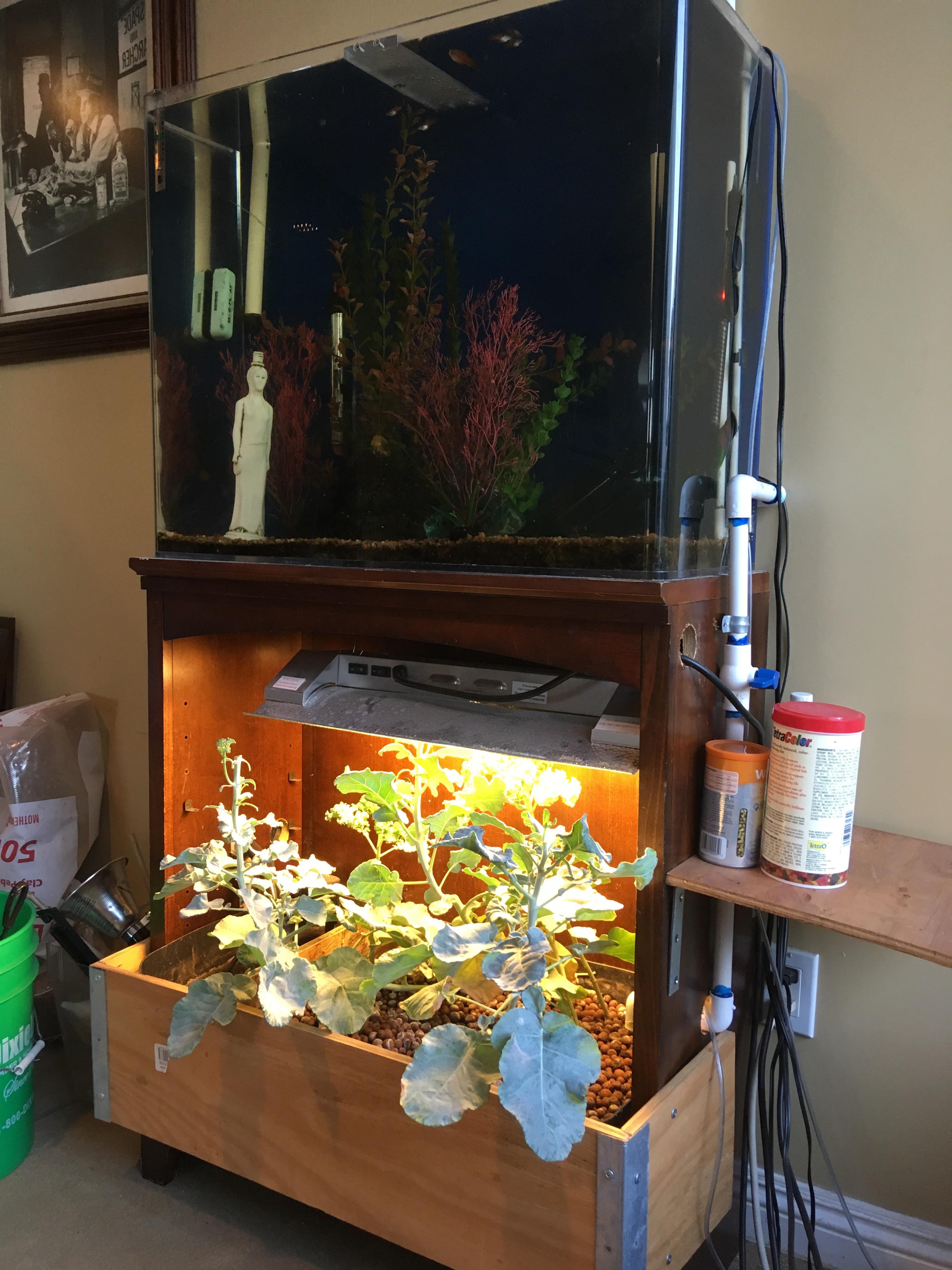 My setup | Scrolller