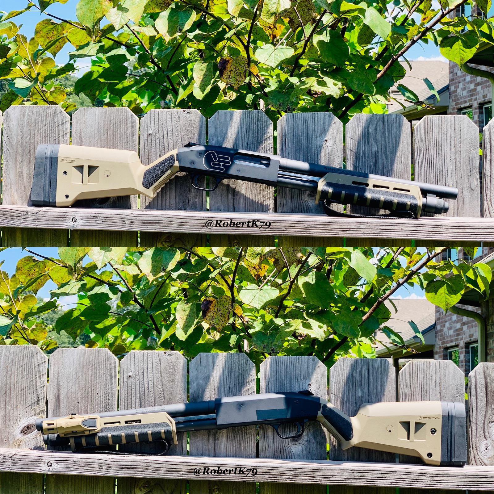 My Shockwave became a man today 🤣🤣 | Scrolller