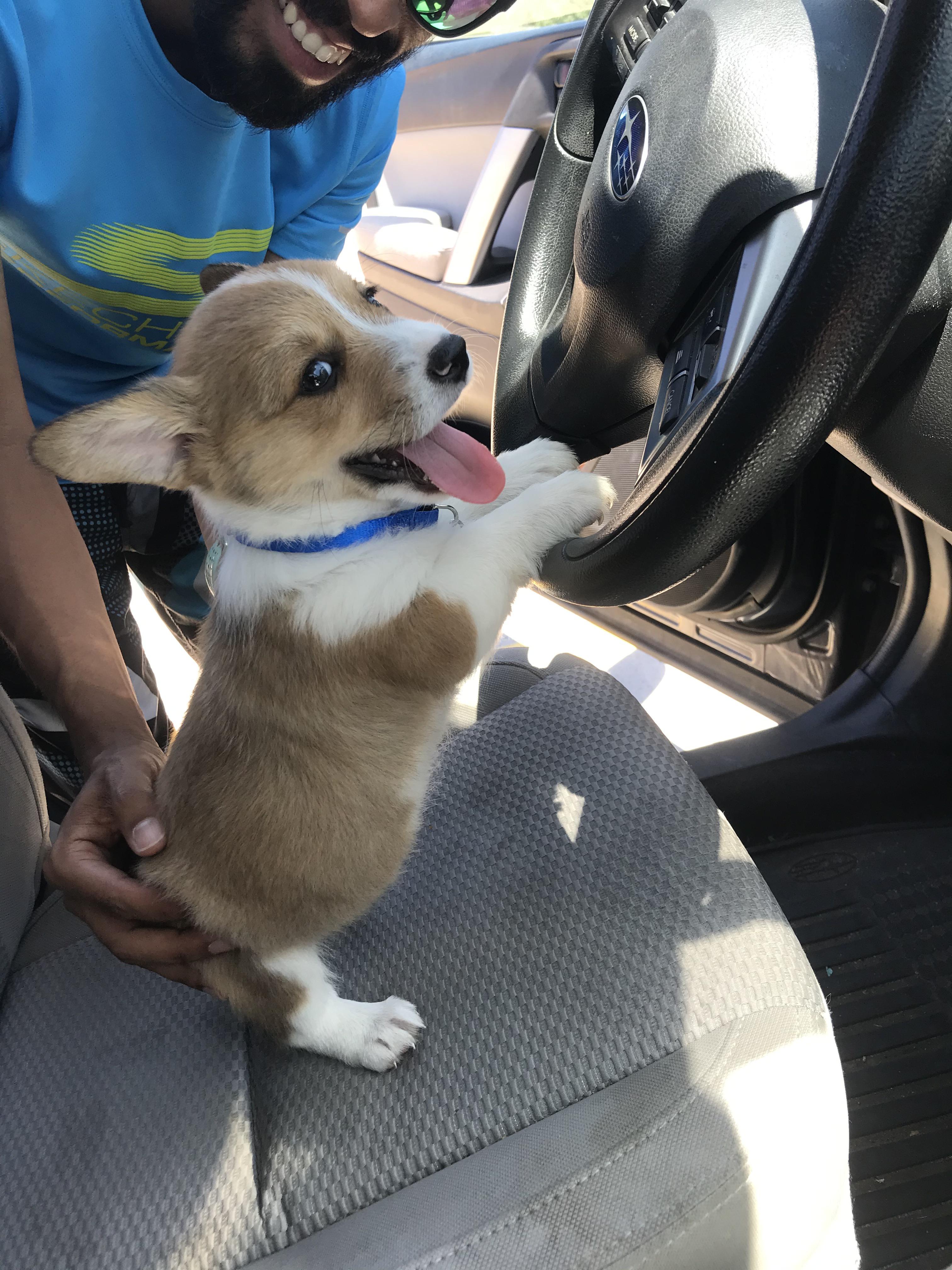 My sister got ralphie today! ️ | Scrolller