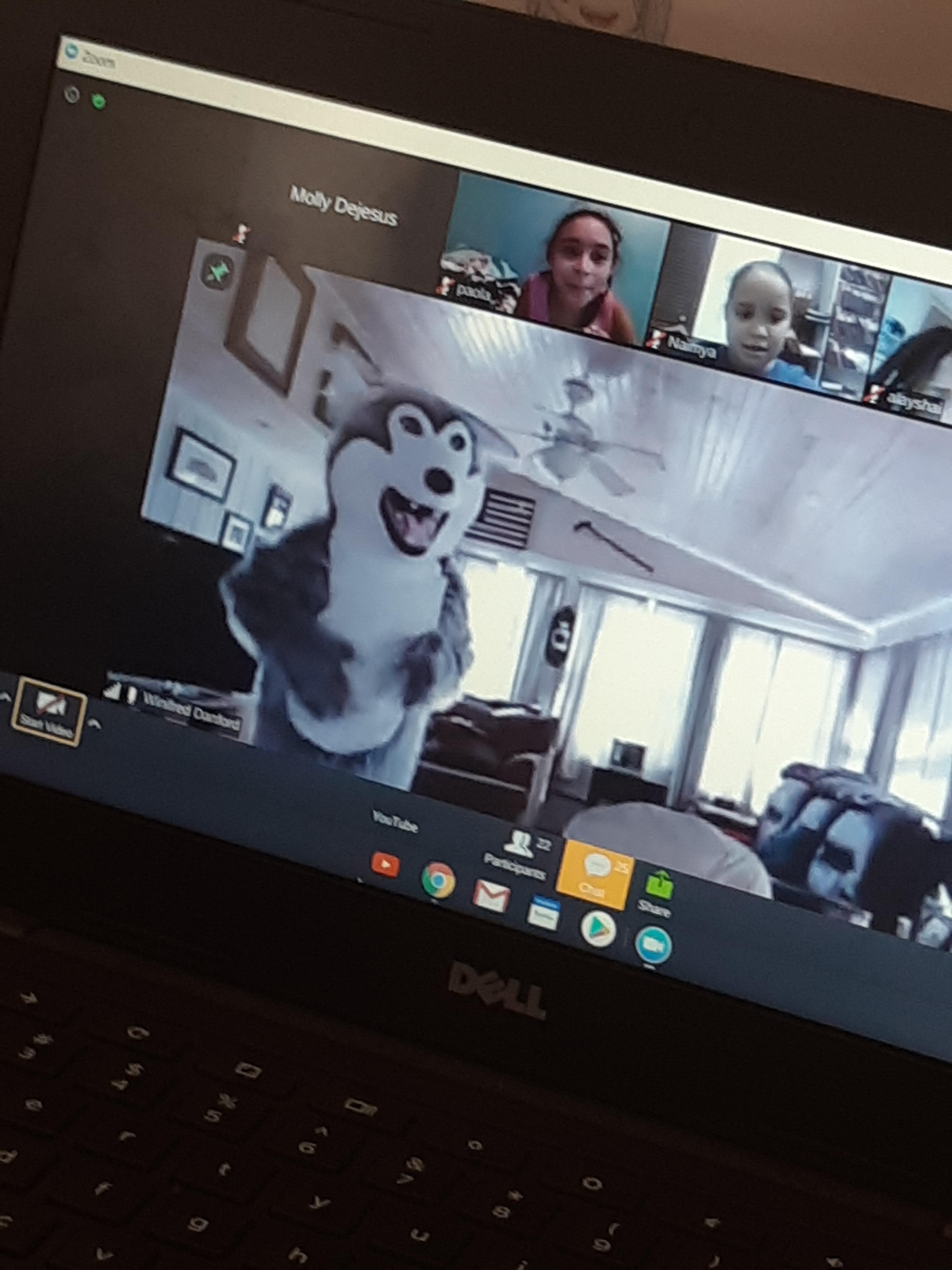 My sister has a 'mascot' for her school... | Scrolller