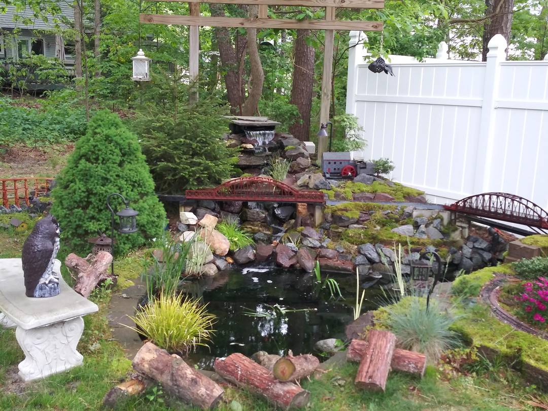 My small pond. I have two koi and several gold fish. | Scrolller
