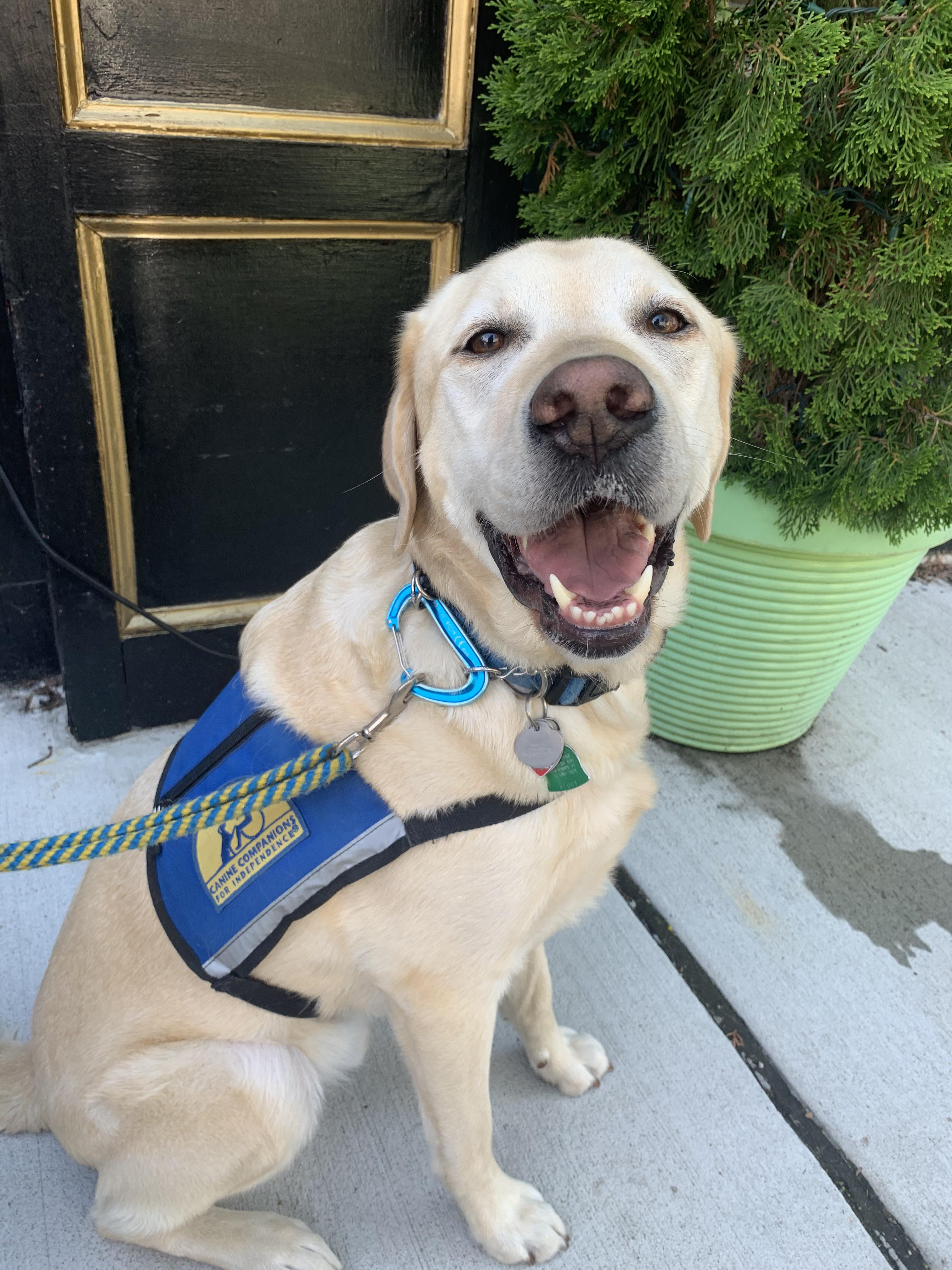 My smiley boi ️ | Scrolller