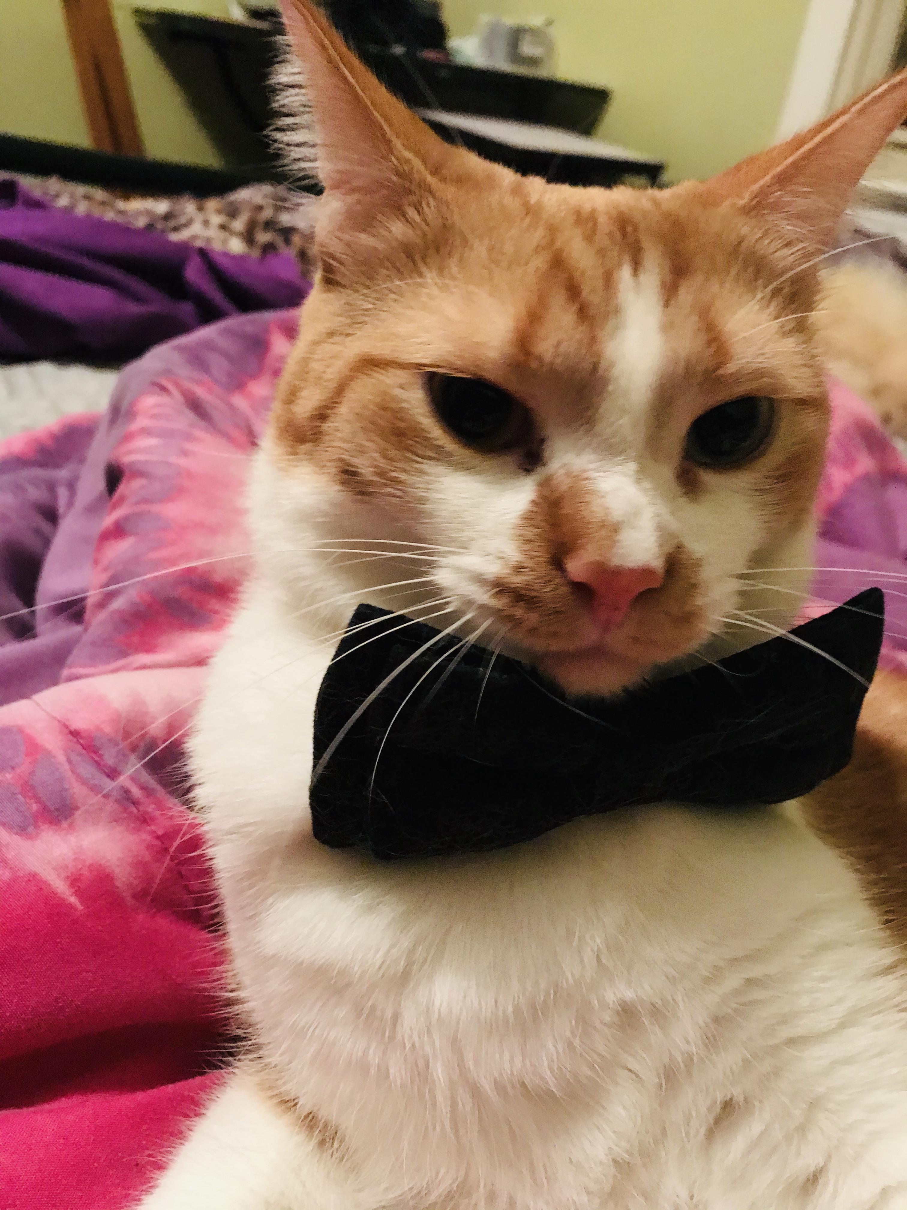 My son be looking dapper | Scrolller