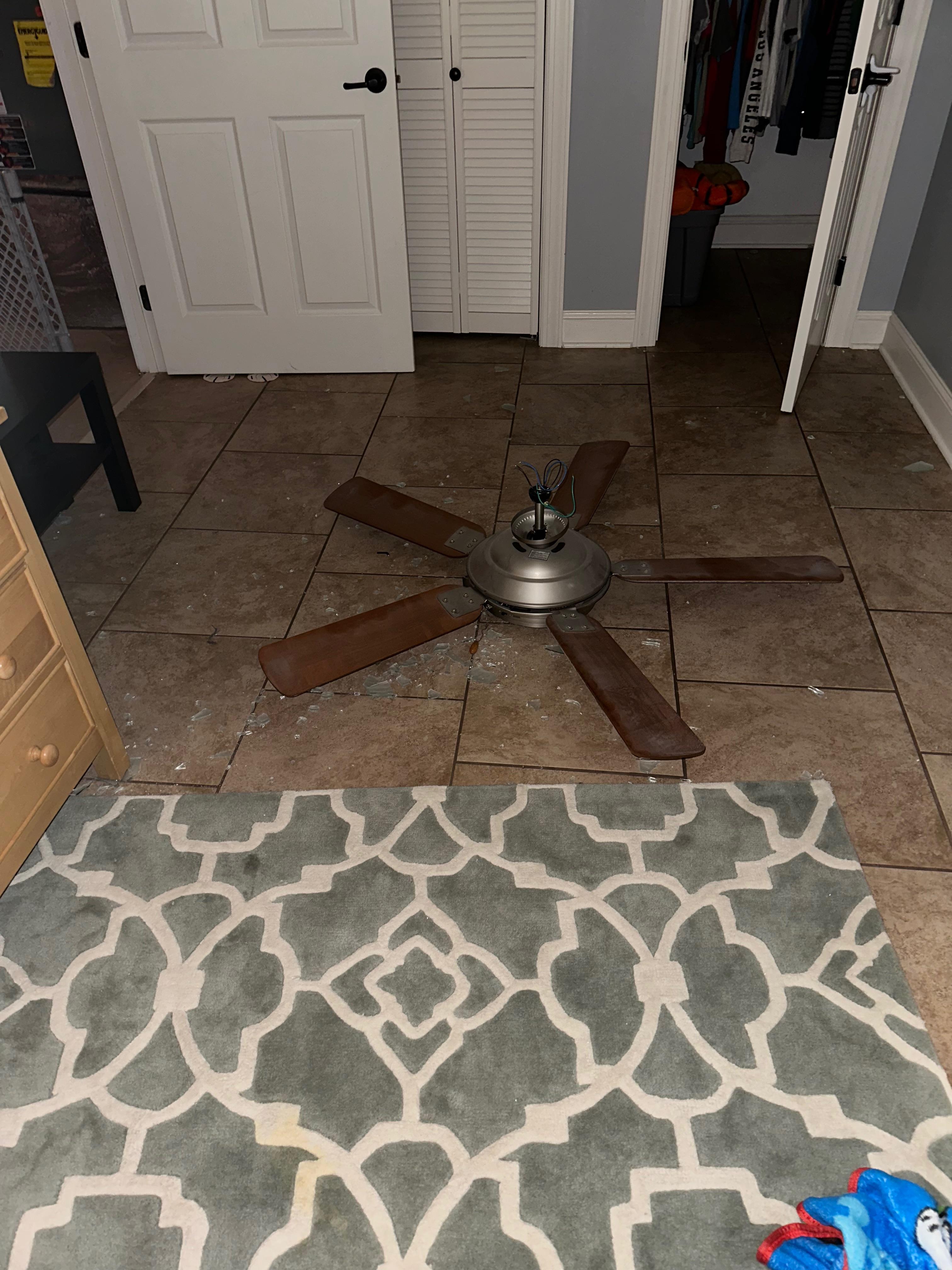 My son’s fan fell out of the ceiling this morning | Scrolller