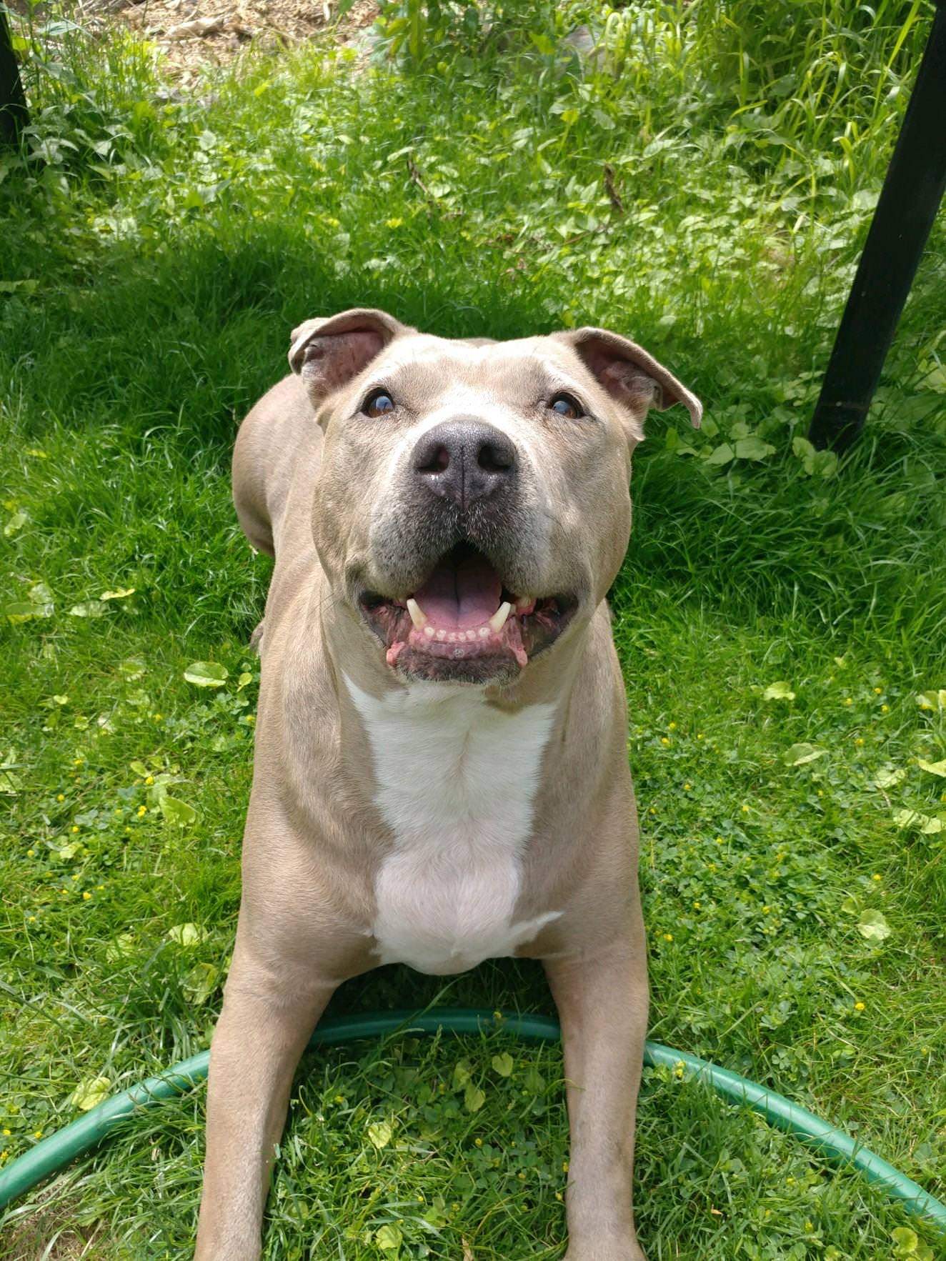 My Soul Mate, Mya | Scrolller