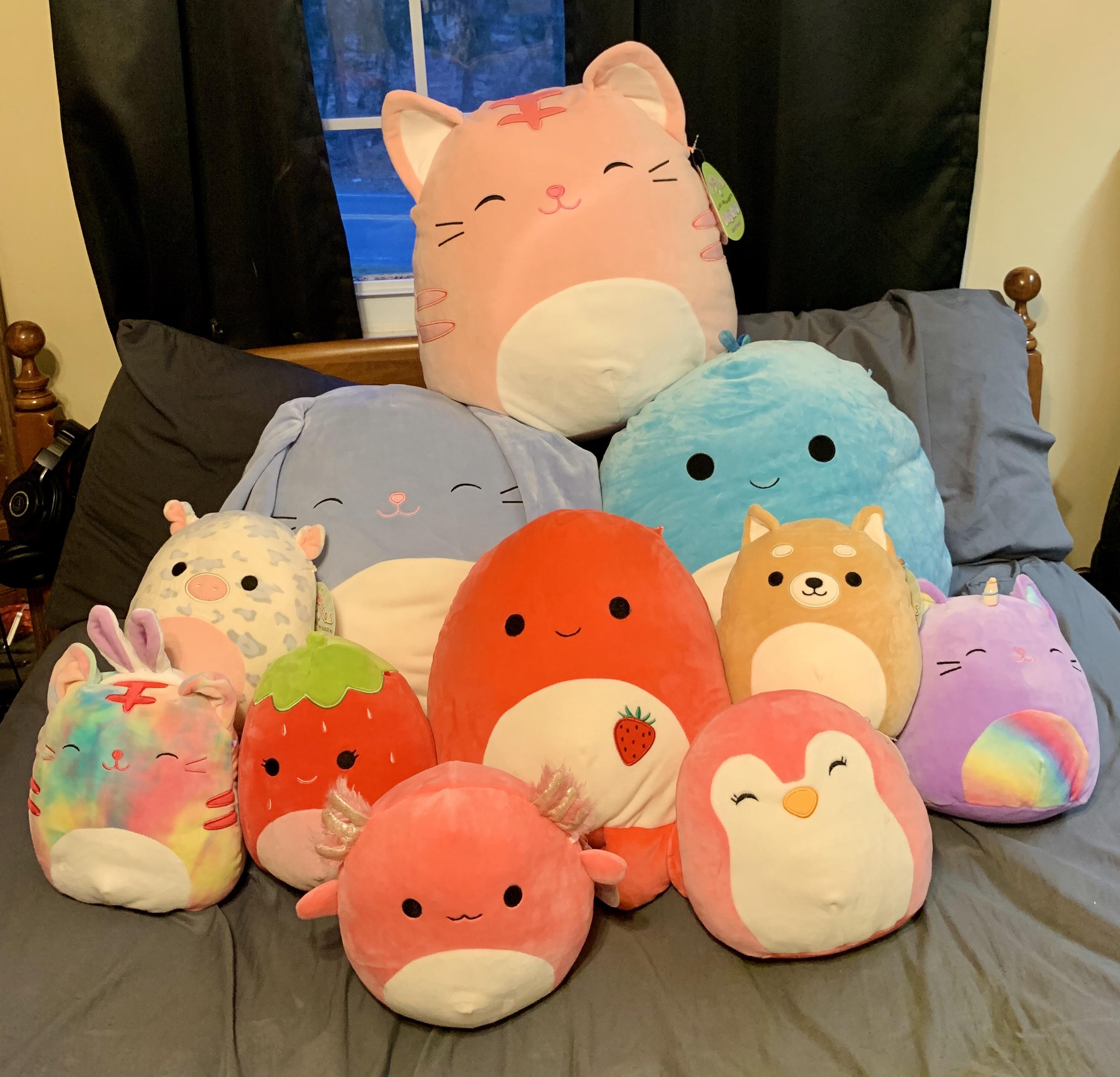 My Squishmallow collection (and obsession) is expanding! Please send help. | Scrolller