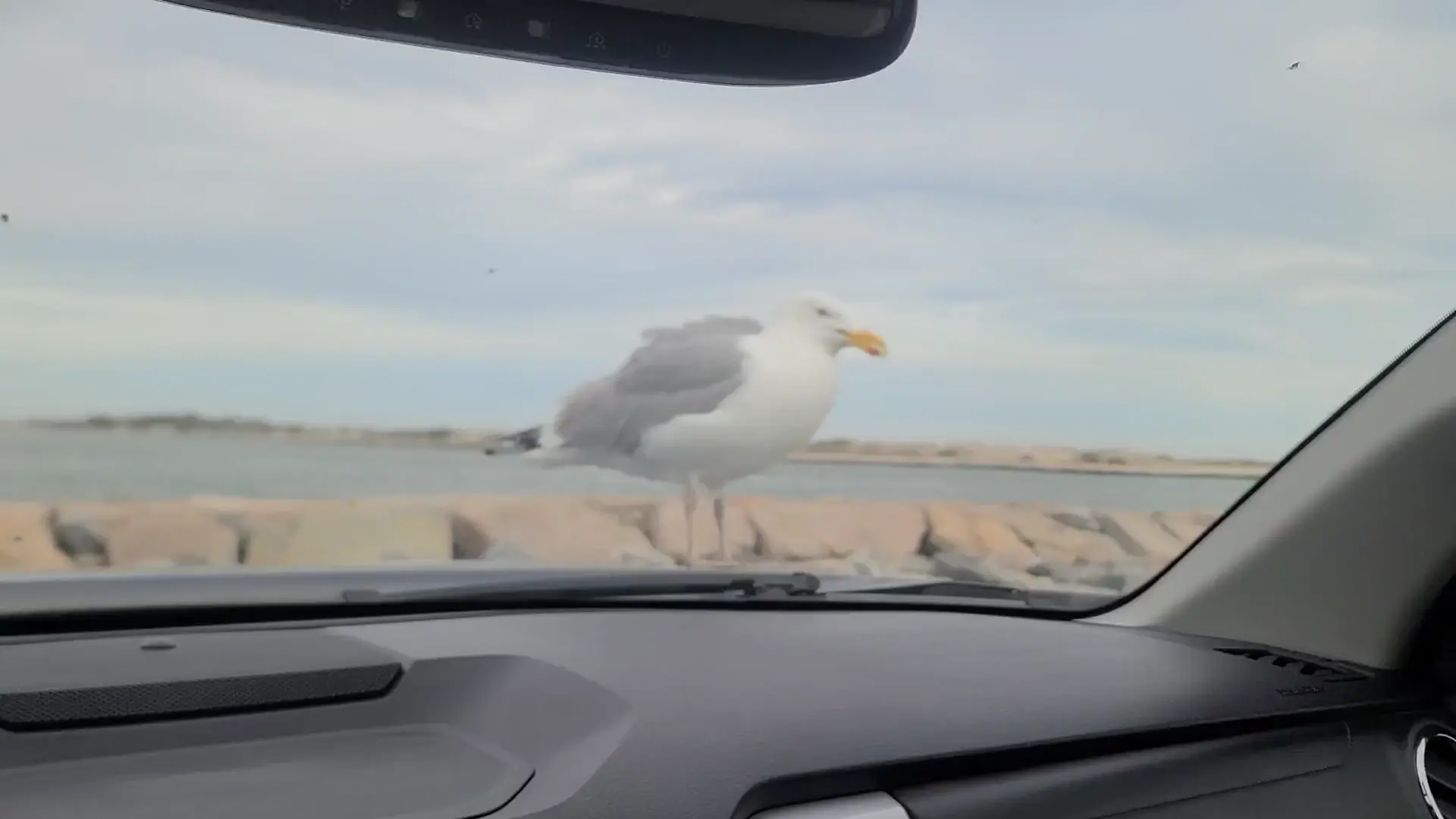 My state of mental health | Scrolller