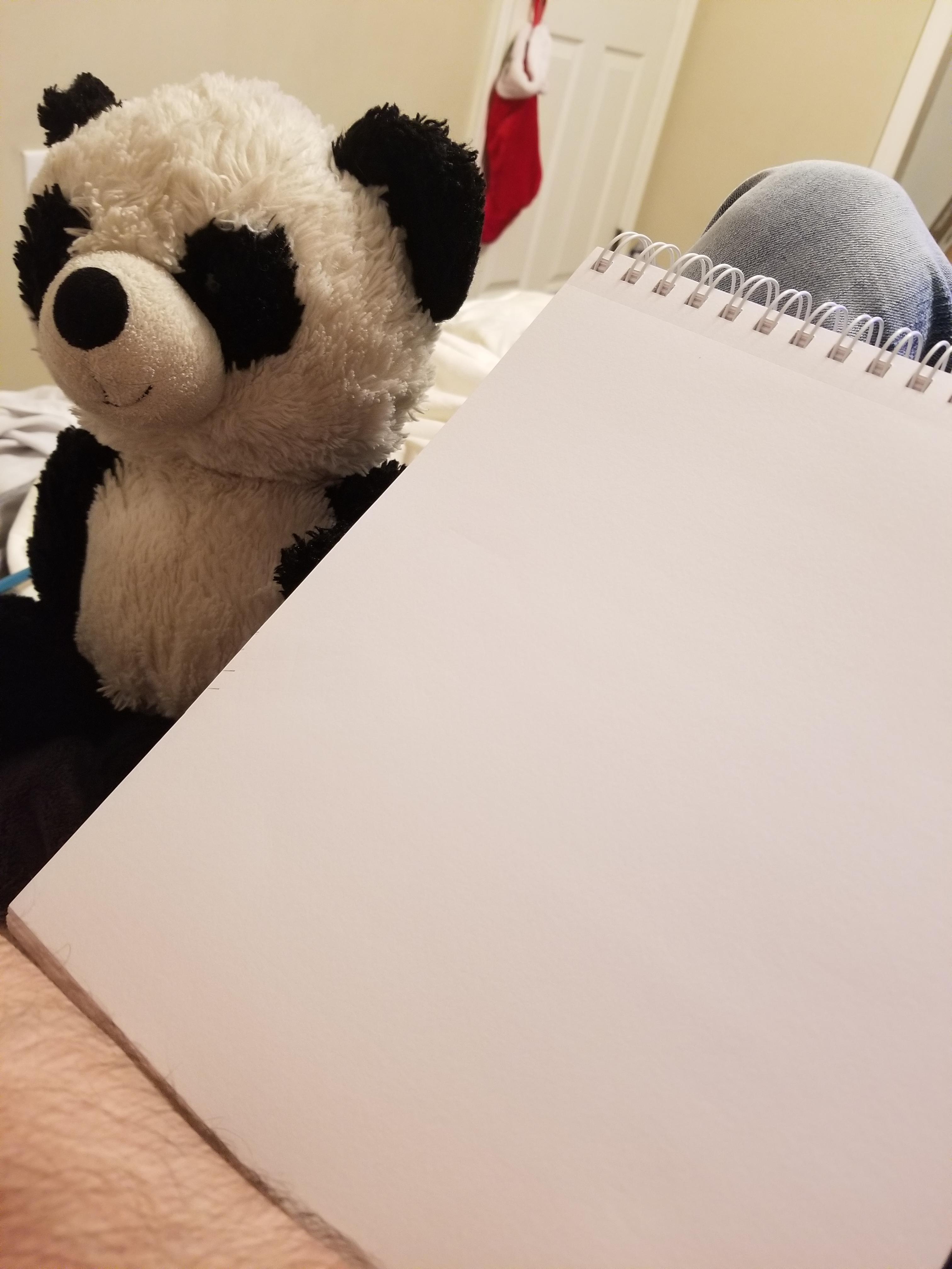 My stuffie marshmallow is being a model for me! | Scrolller