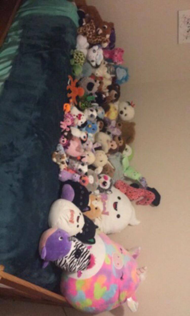 My stuffies | Scrolller