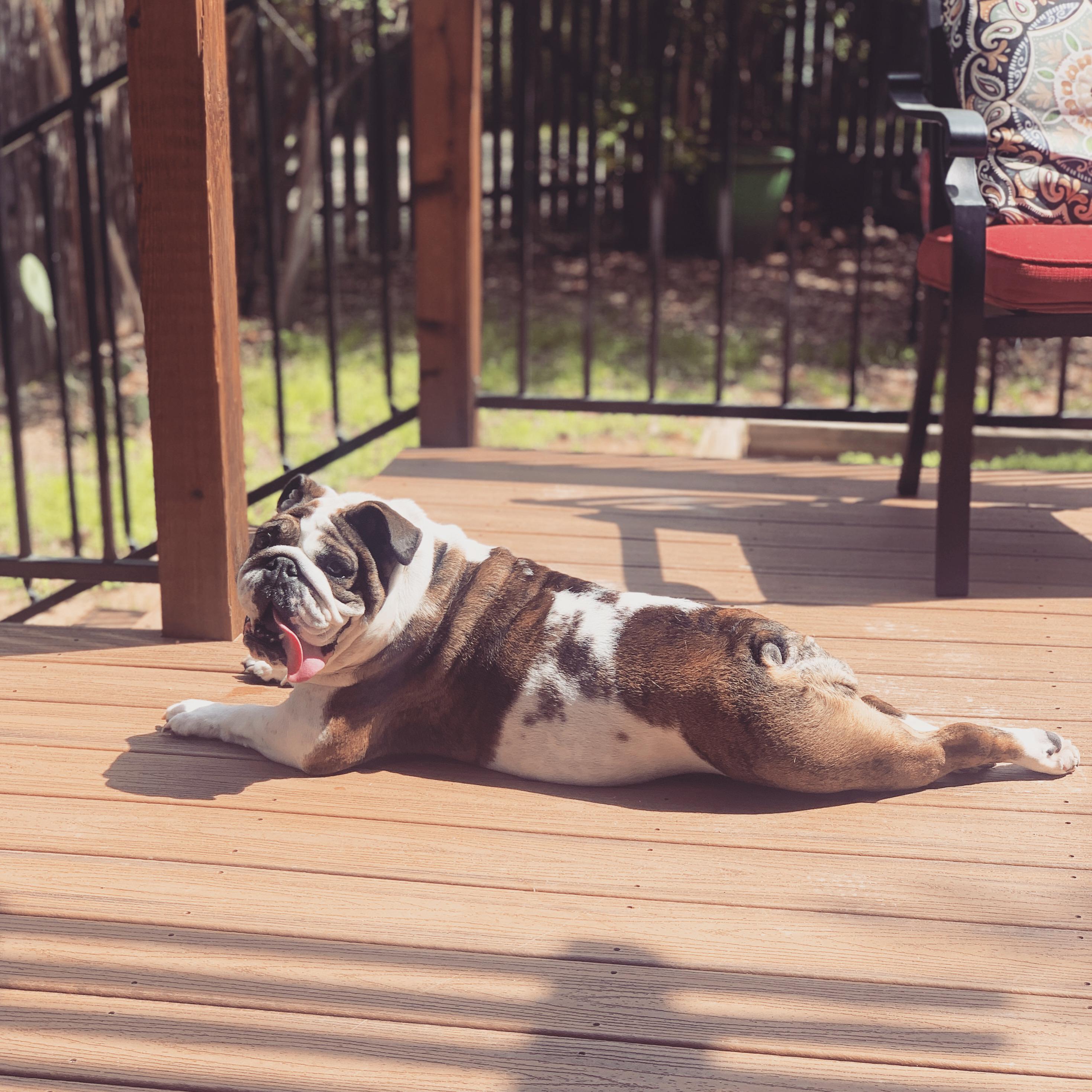 My sunbathing girl, Niko | Scrolller