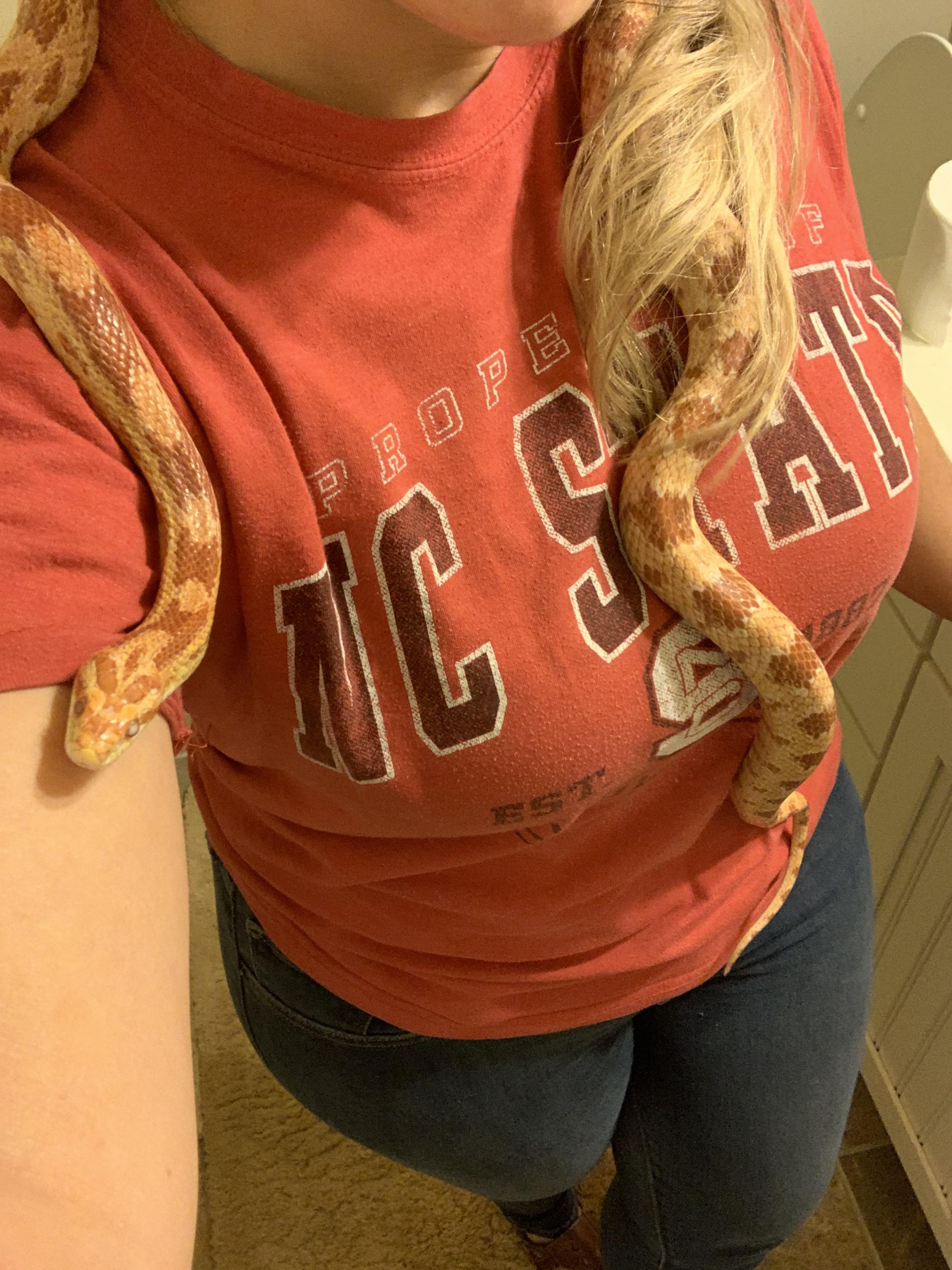 My sweet, blind, corny girl, Matilda. She is almost 10 years old, and a little over 4’ long ...