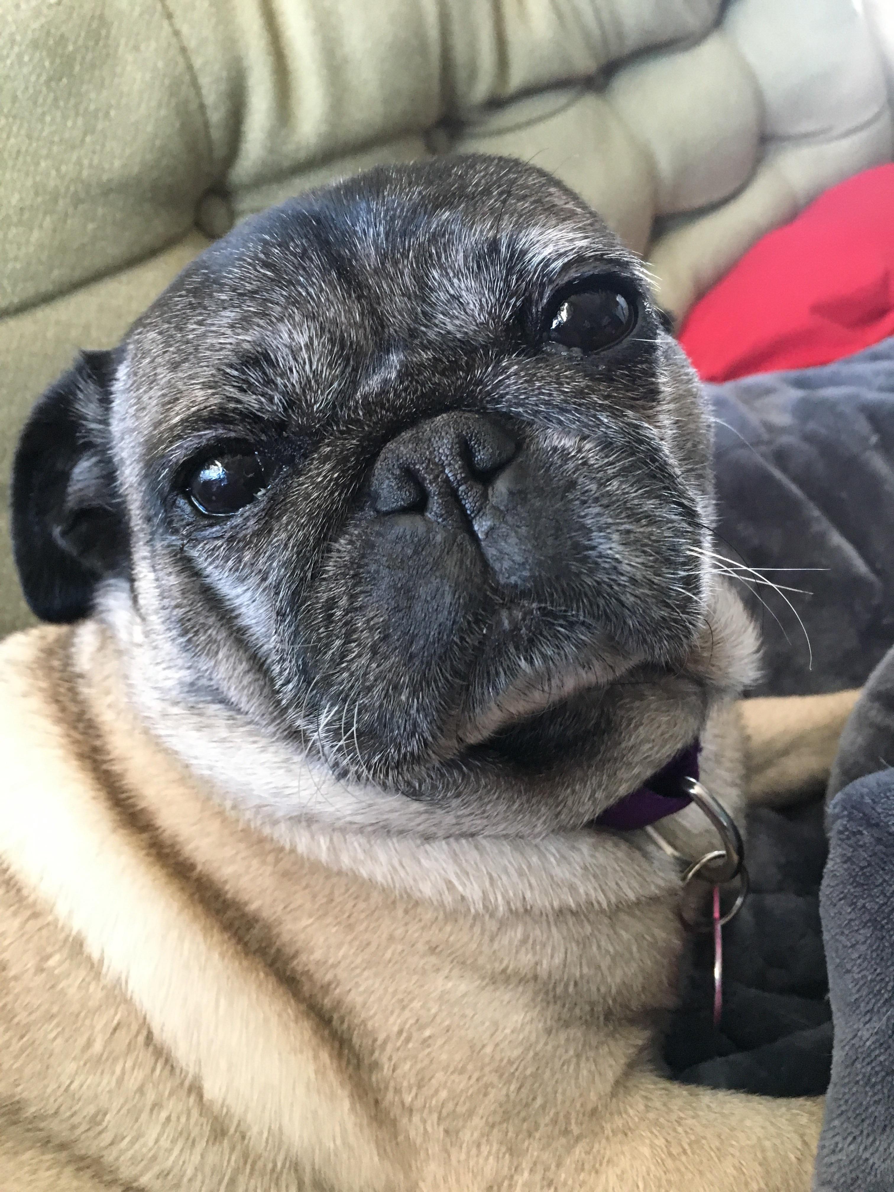 My sweet Monkey girl 🐵 | Scrolller