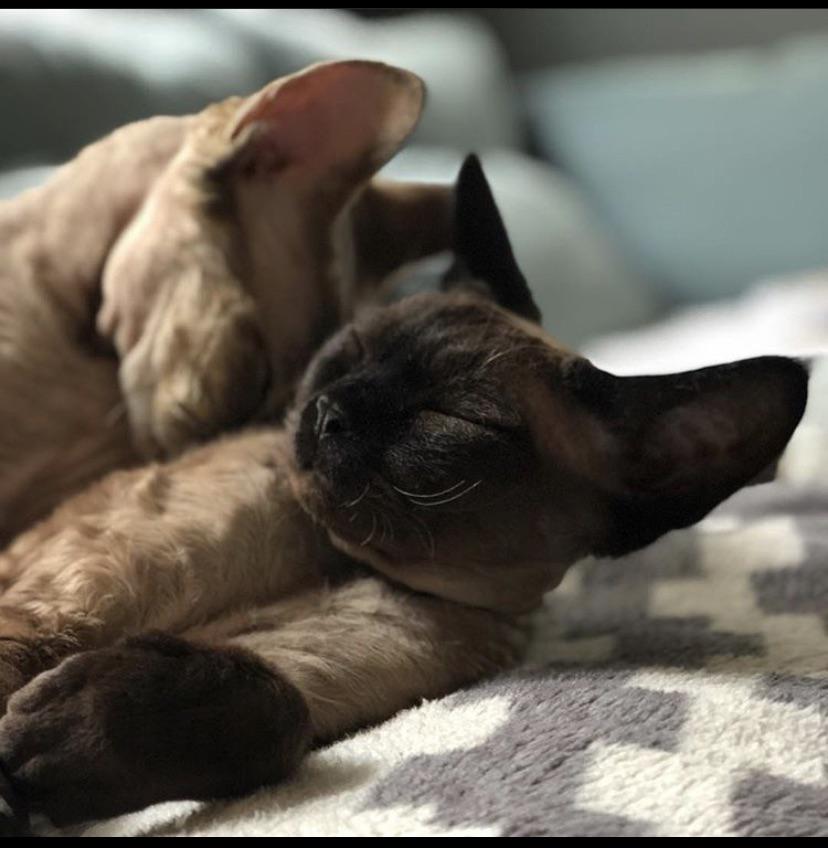 My two princes sleeping | Scrolller