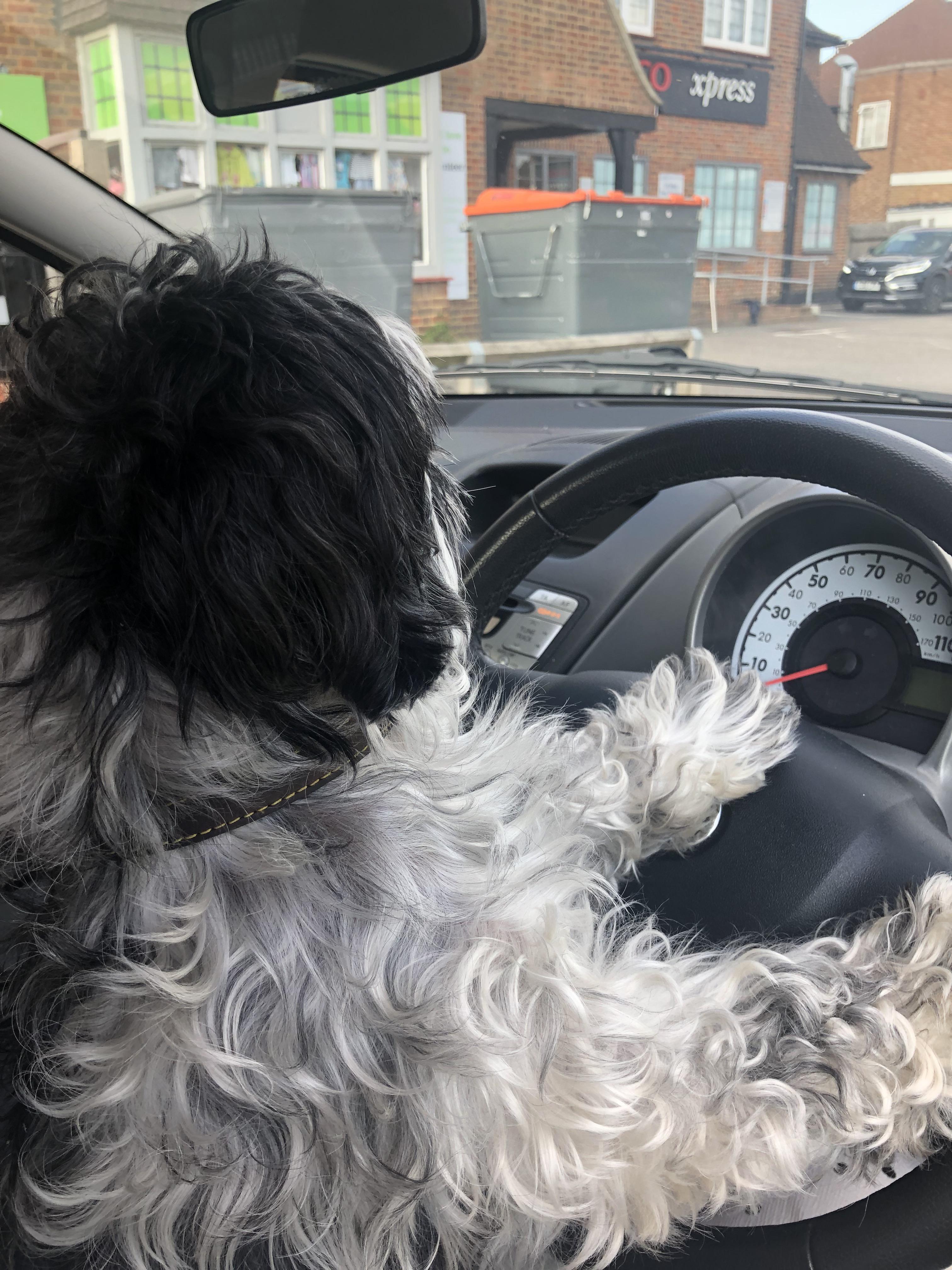 My Uber has arrived! 5 stars! | Scrolller