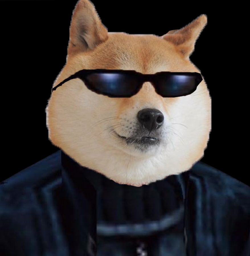 My vision is WOW | Scrolller