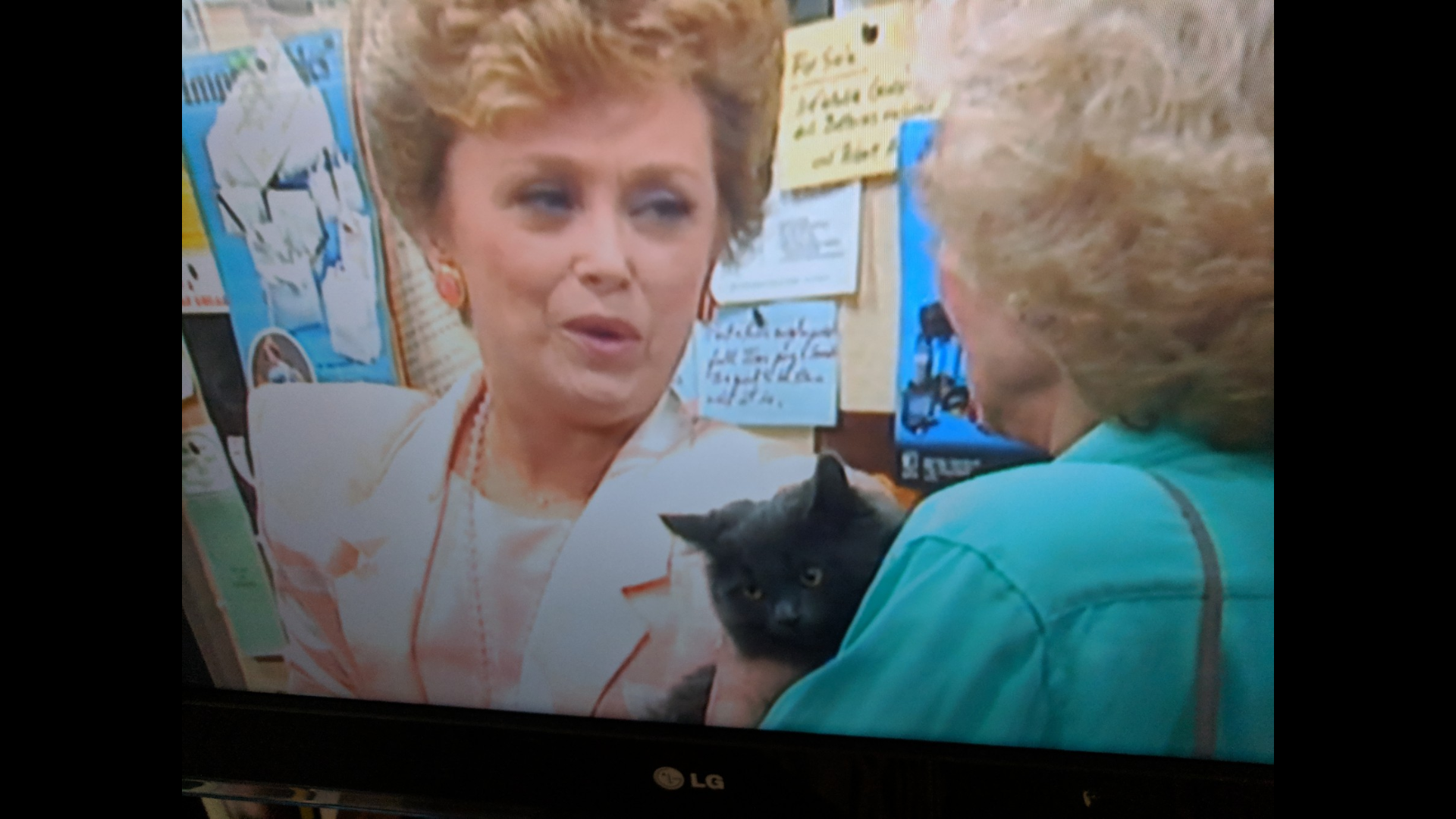 My wife and I noticed this a while back. In an episode of Golden Girls, Dorothy has a nebelung ...