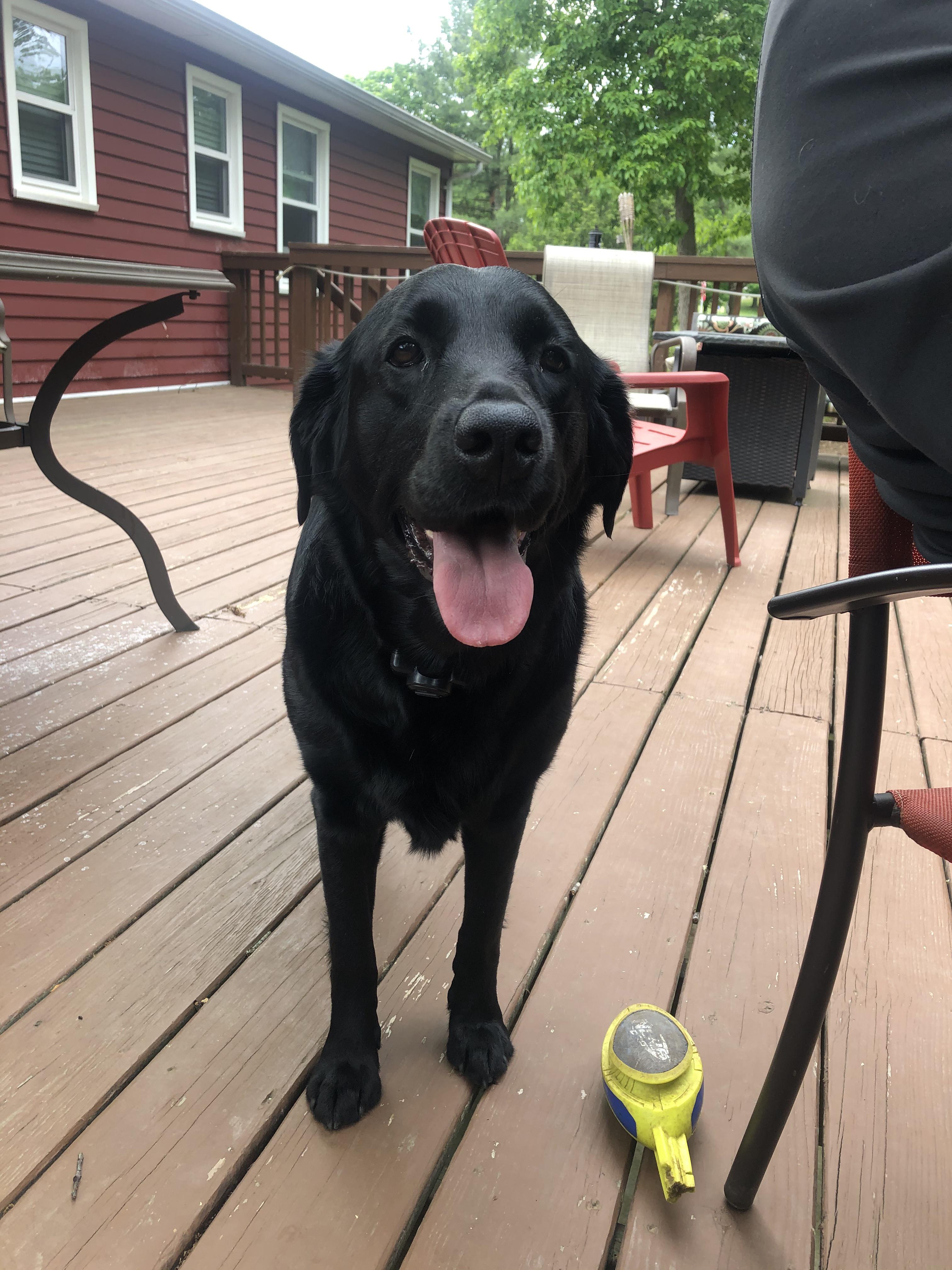 My Winnie Boo | Scrolller