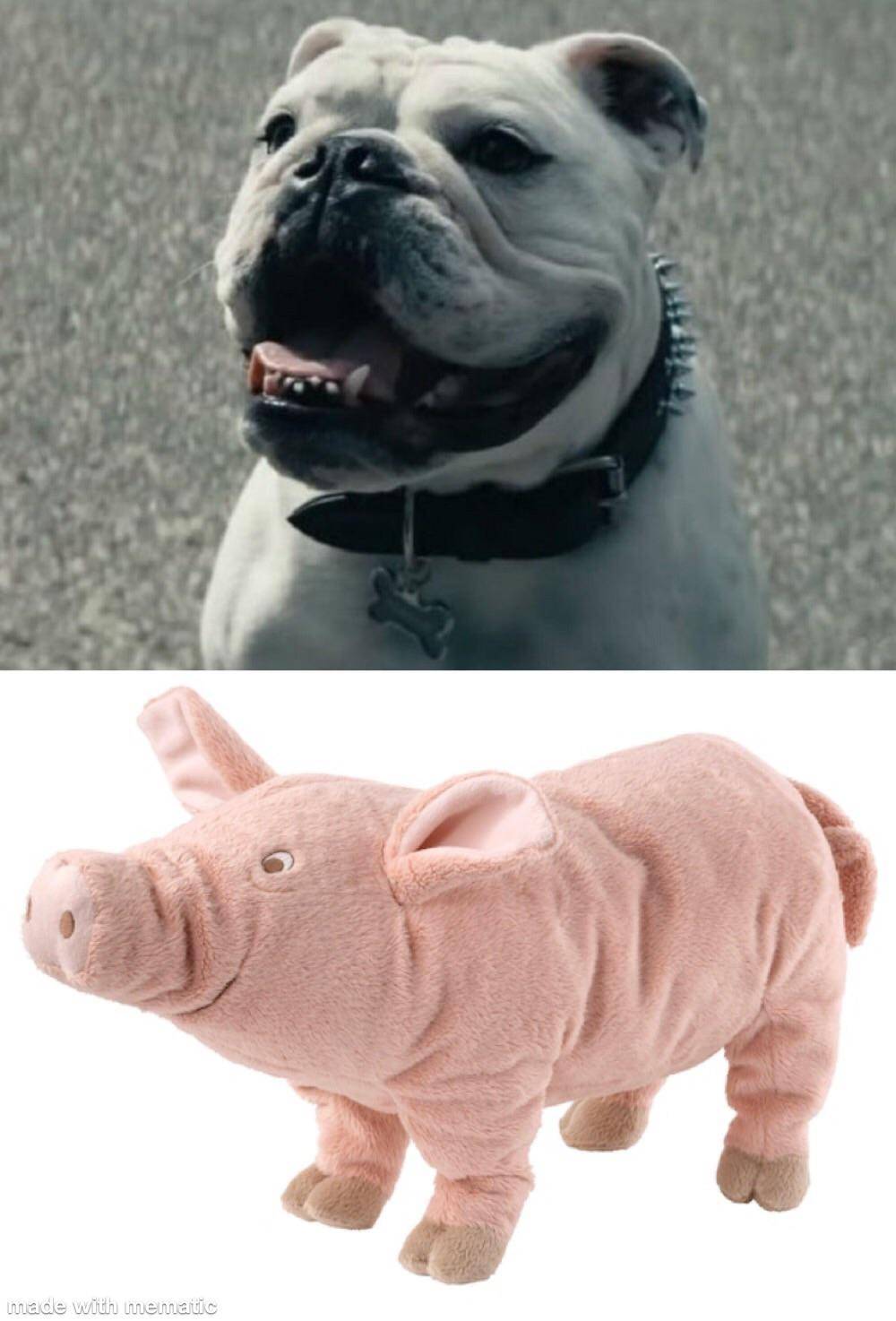 Name a more iconic duo, I’ll wait | Scrolller