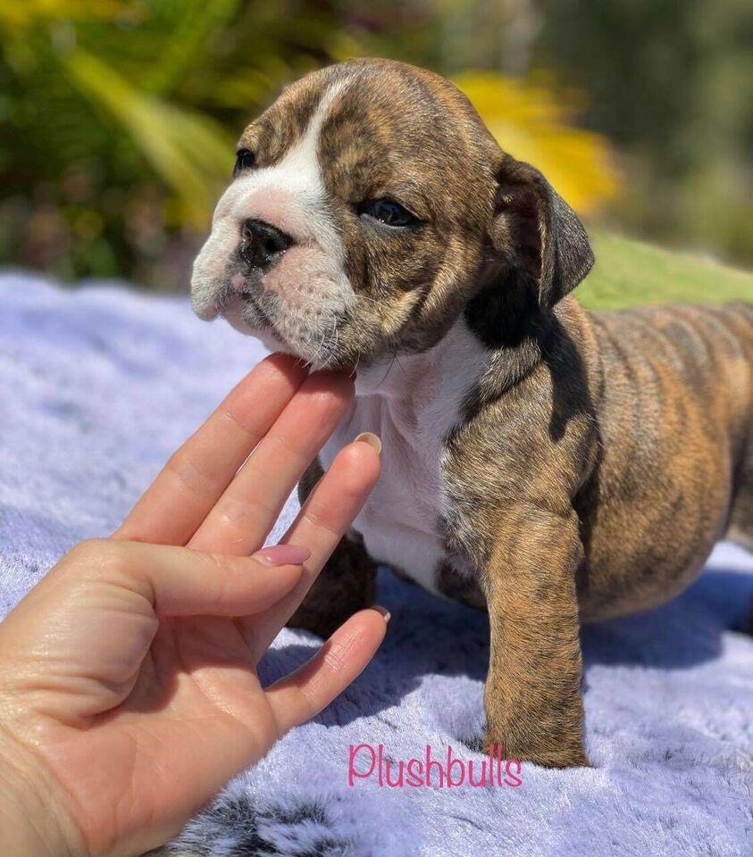 Name help please ! | Scrolller