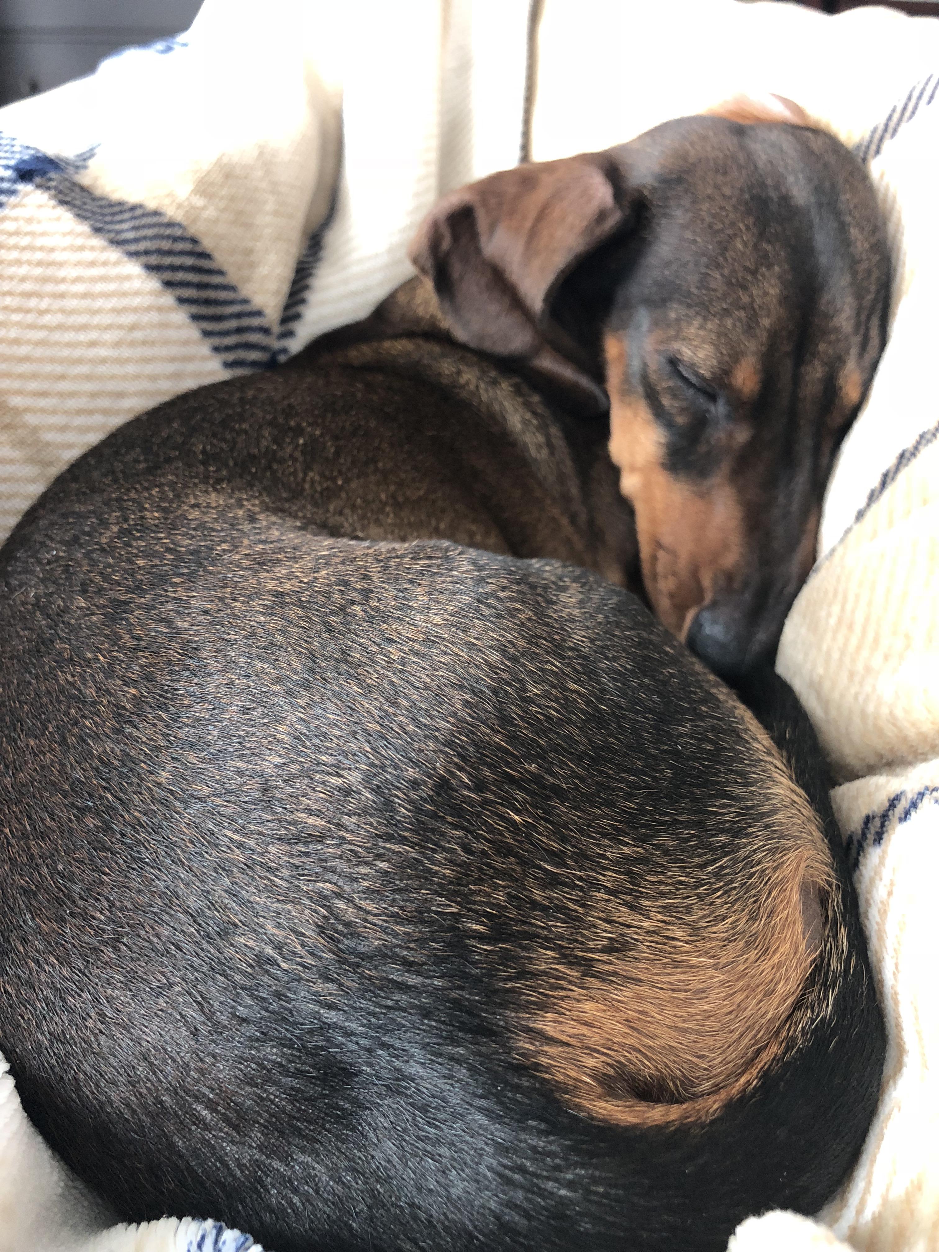 Nap time | Scrolller