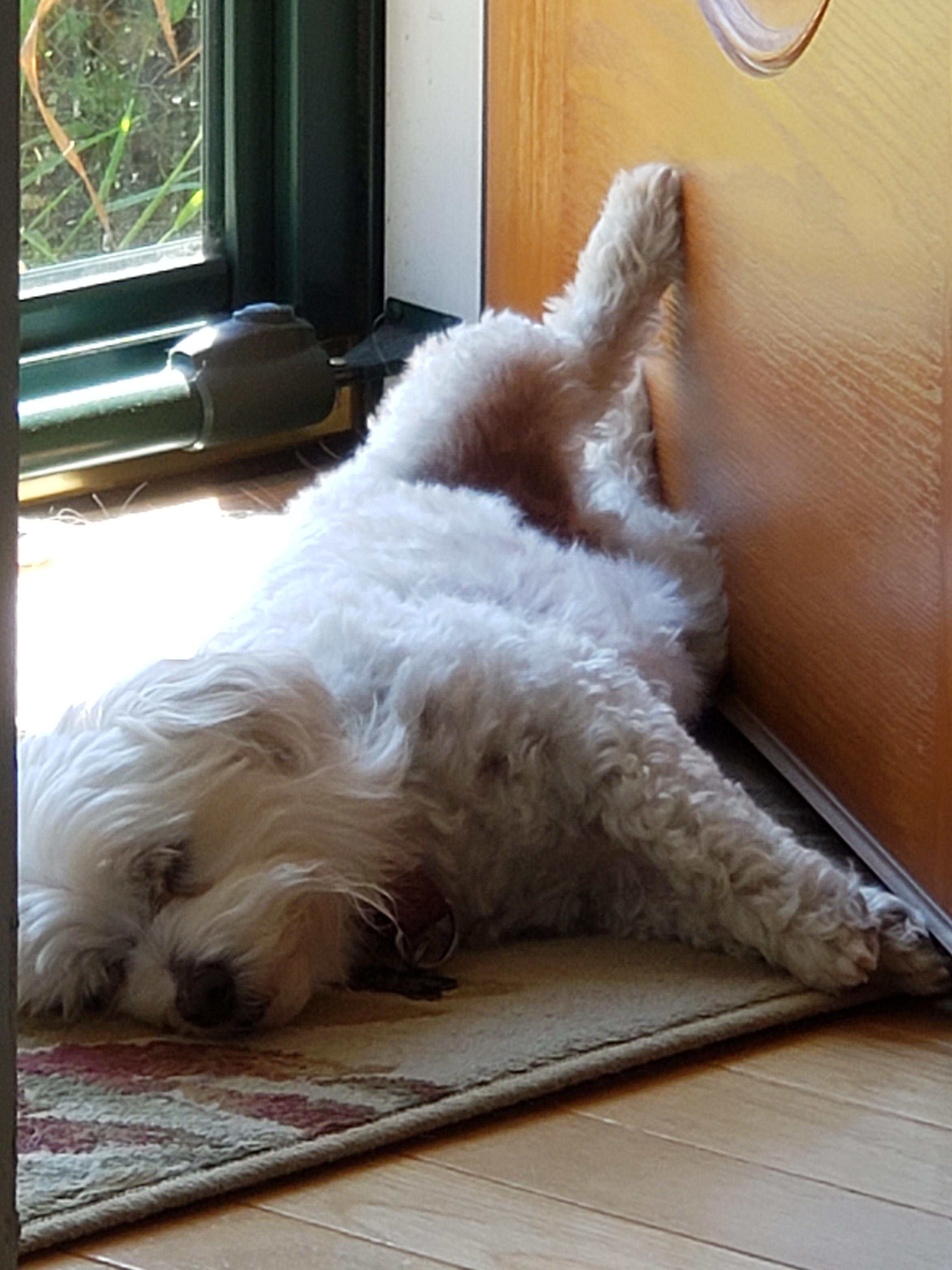 Nap time. | Scrolller