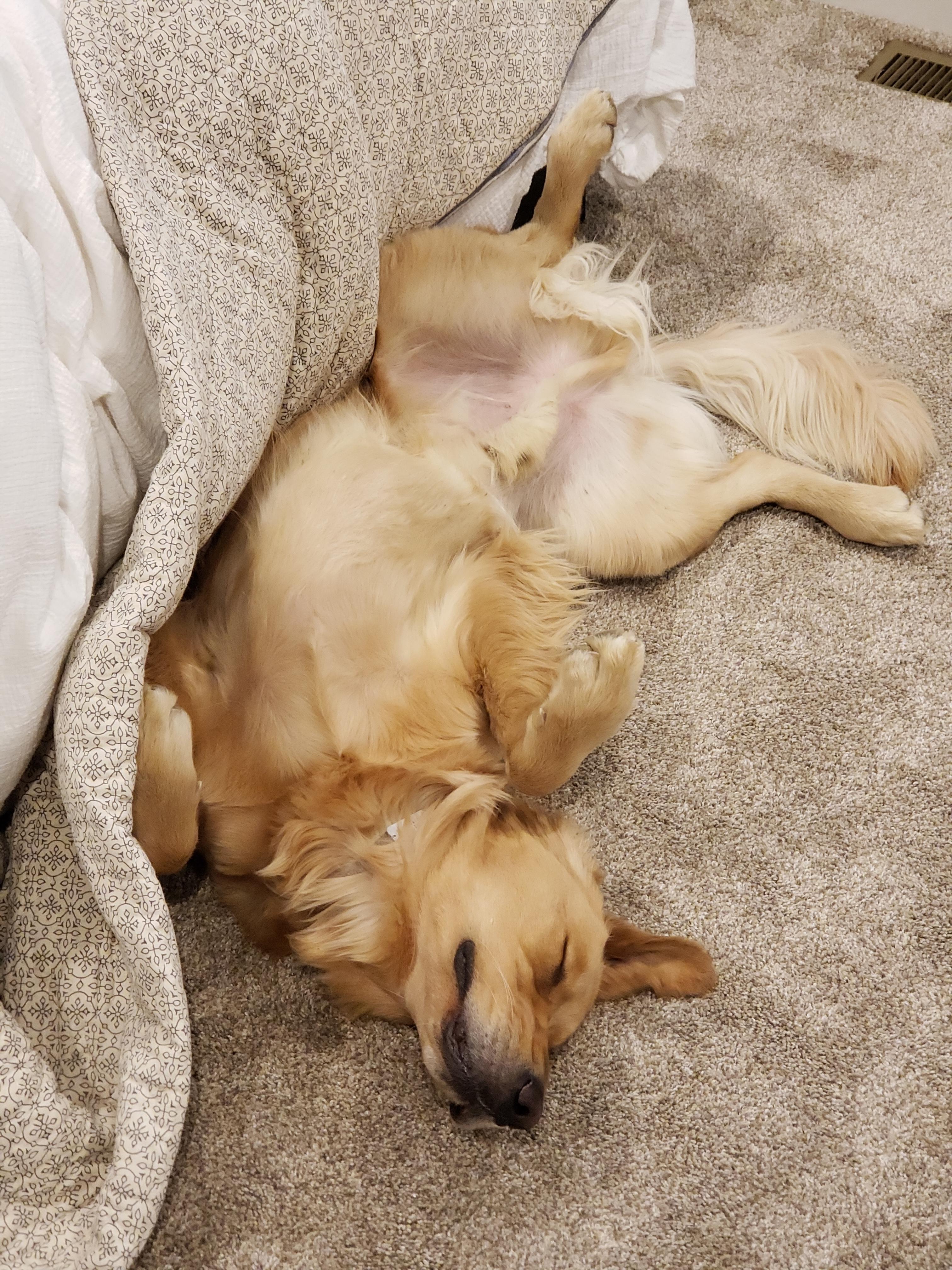 Nappy time | Scrolller