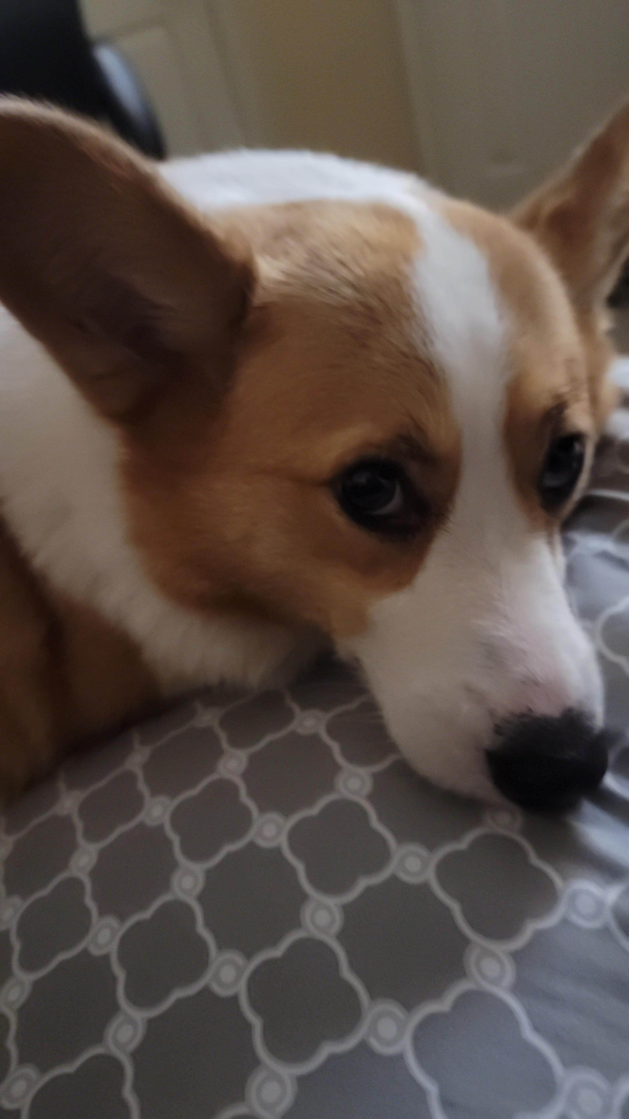 Need advice | Scrolller