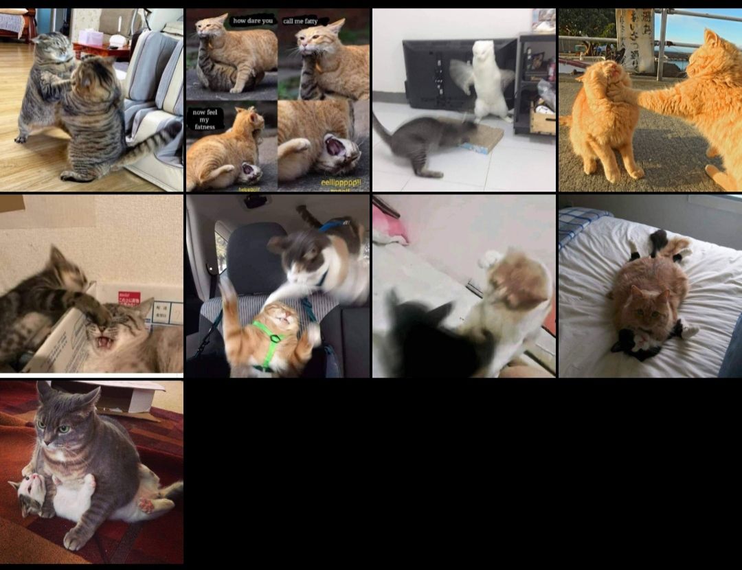 Need Help Collecting Cat Pics: I am collecting pics of cats slapping/bullying another cat. I don ...