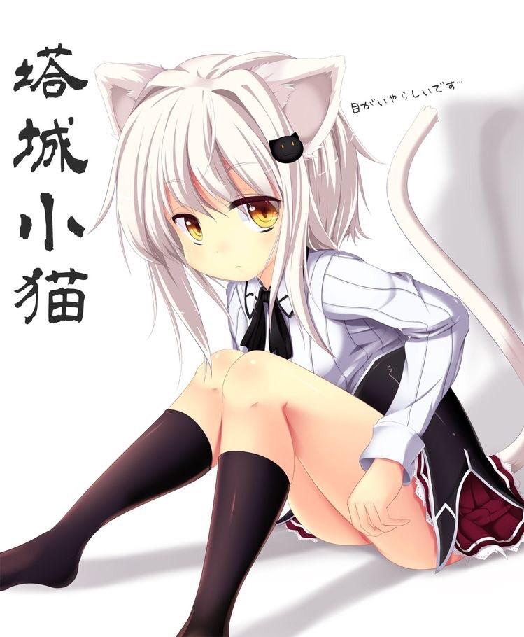 Neko Loli | Scrolller