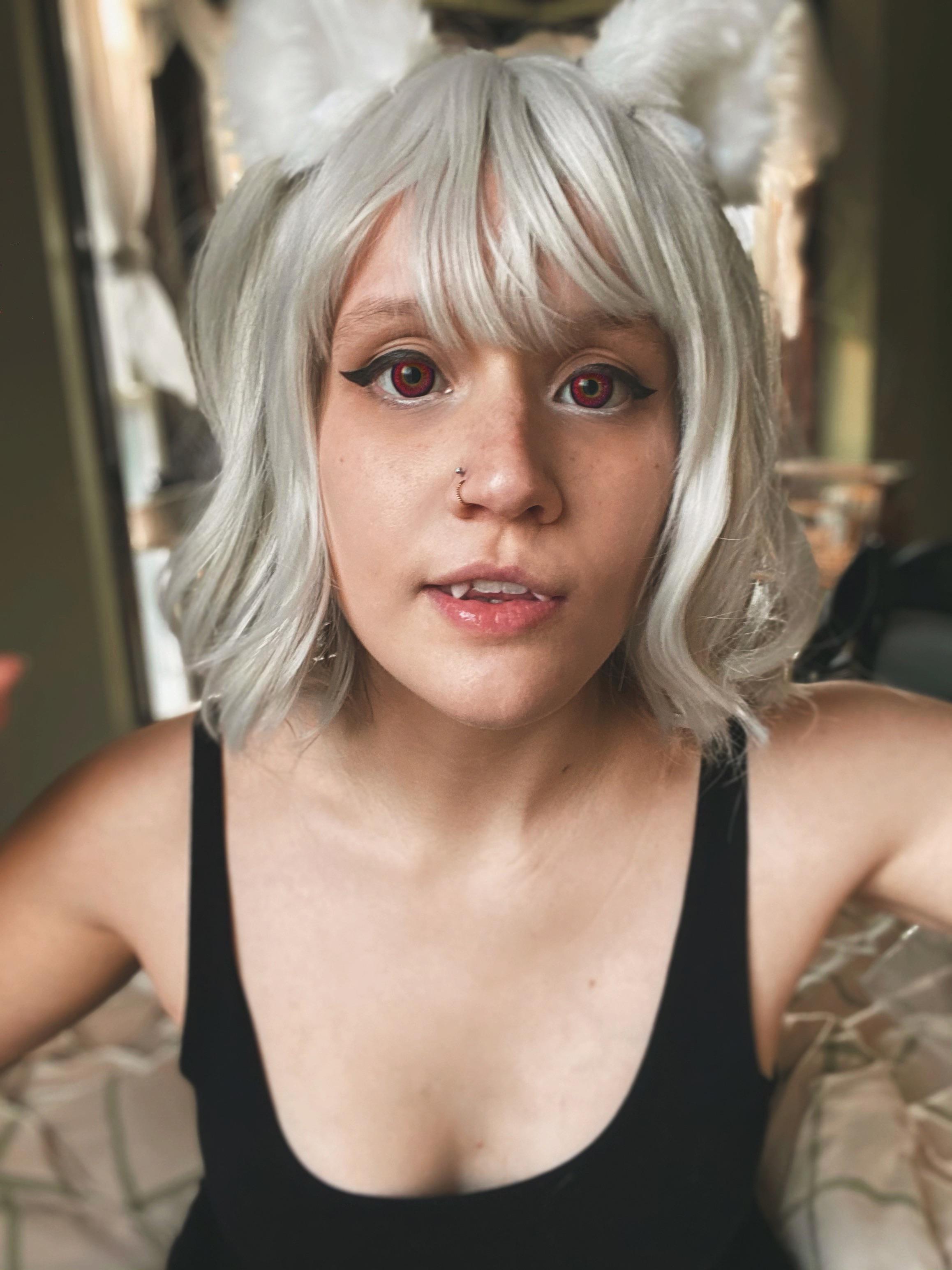 neko pitou | Scrolller