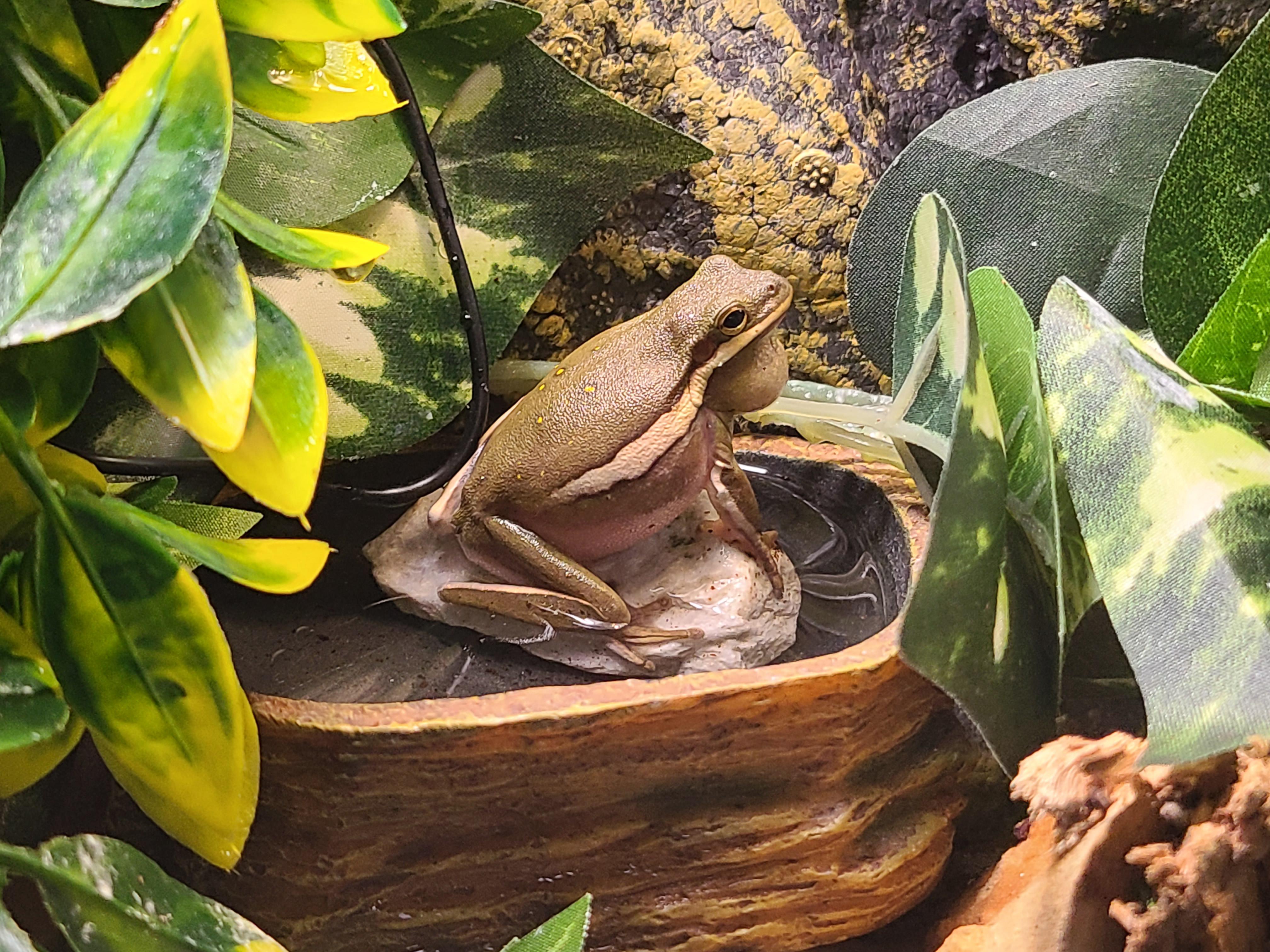 Never skip leg day | Scrolller