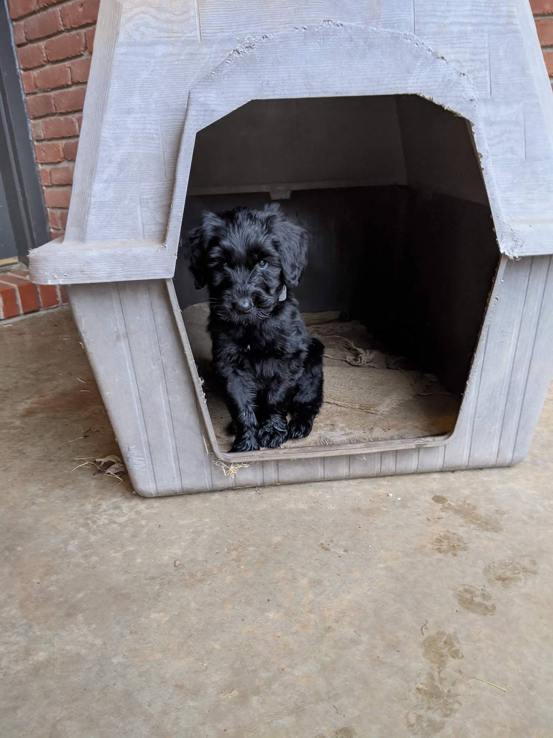 New addition to our family! Meet Gus | Scrolller