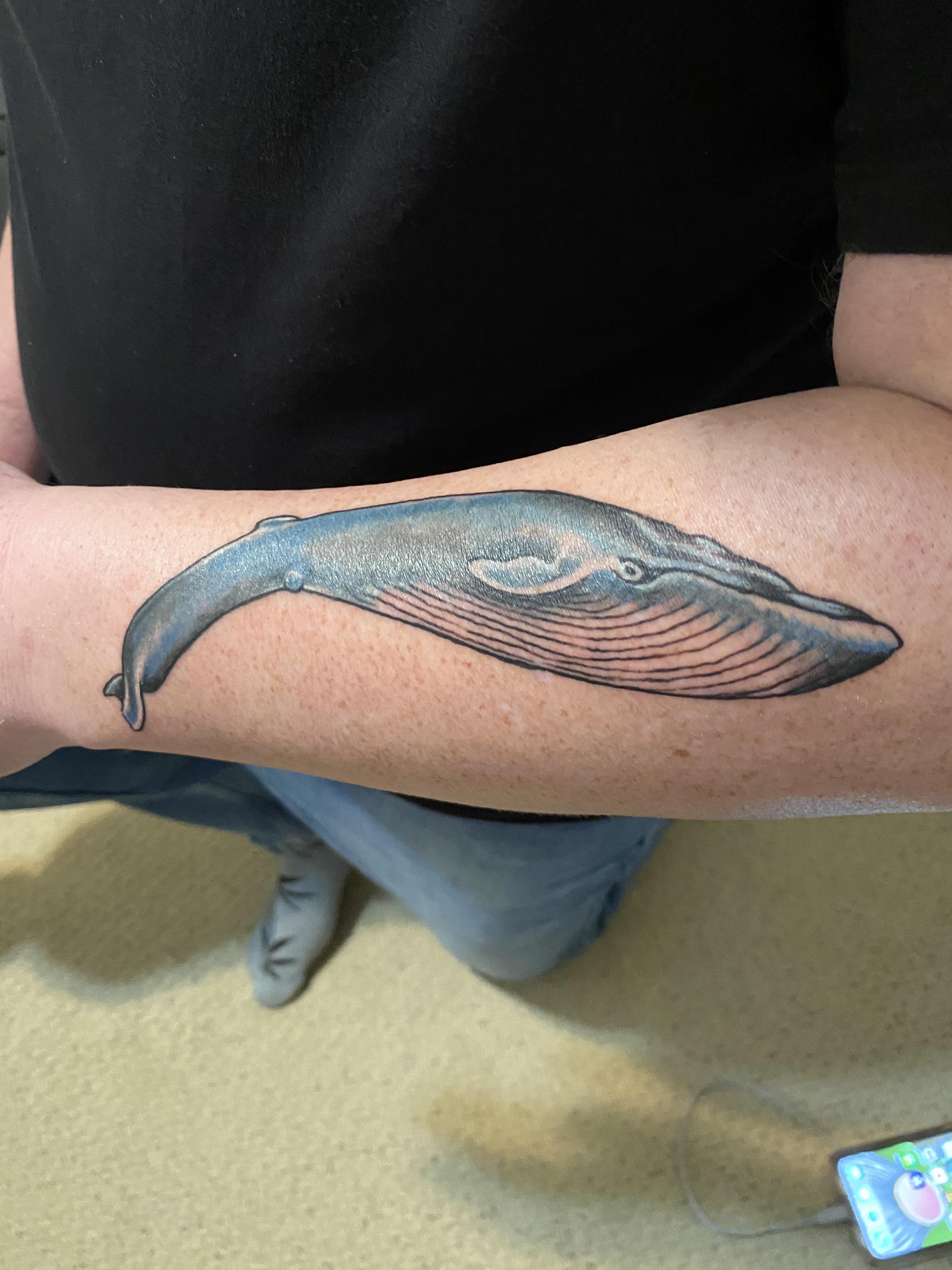 New ink! | Scrolller