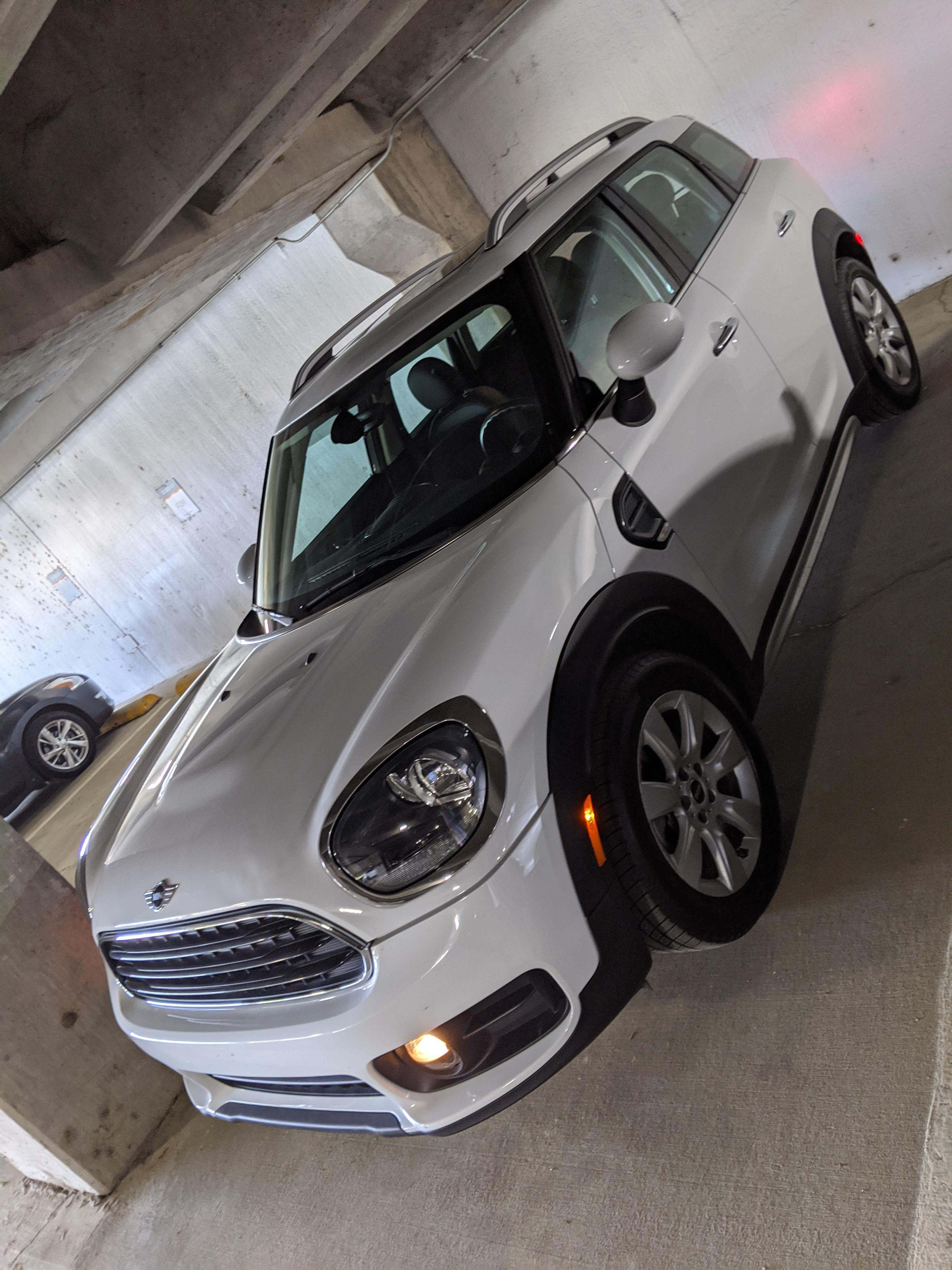 New MINI Countryman owner. Meet Beefcake | Scrolller