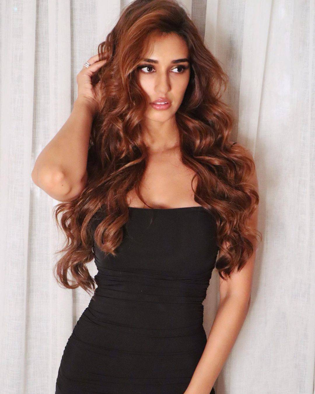 Disha Patani | Scrolller