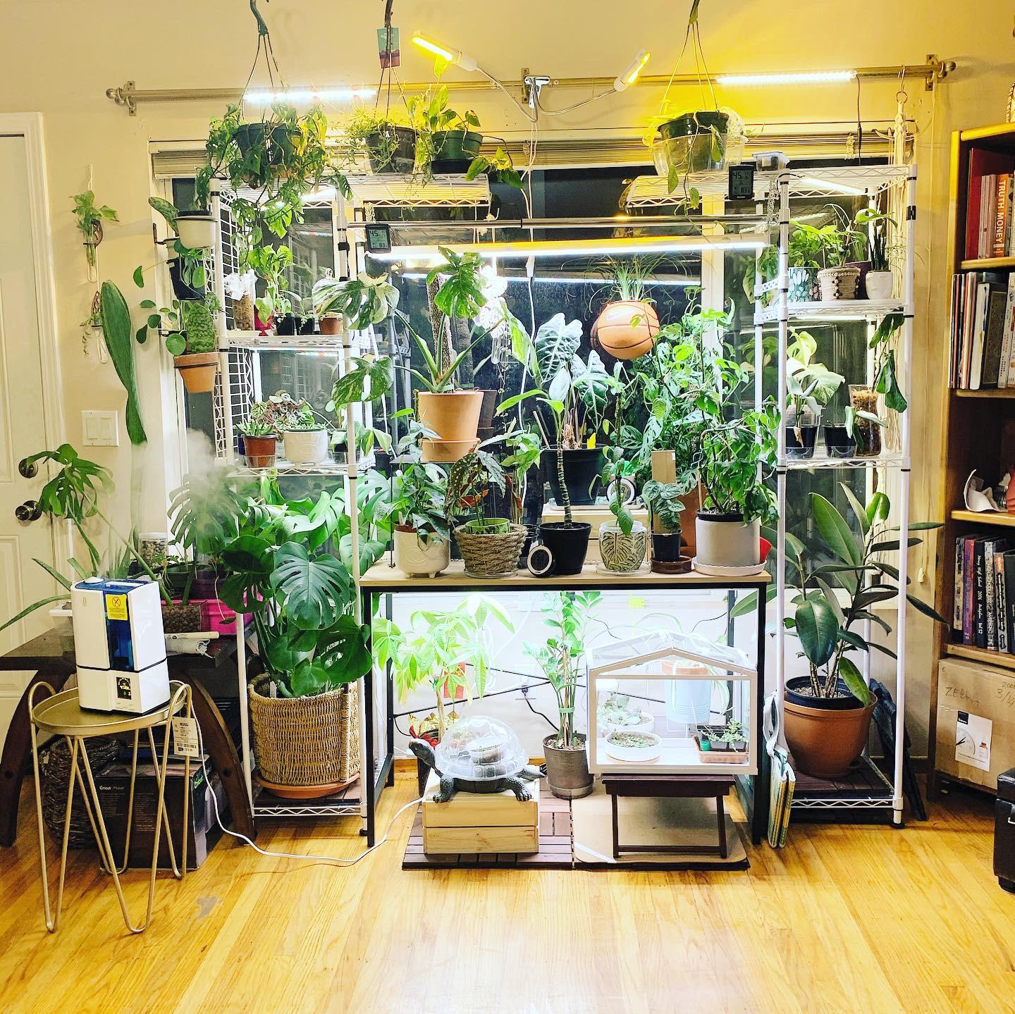 New Plant Set Up 💖🌱 | Scrolller