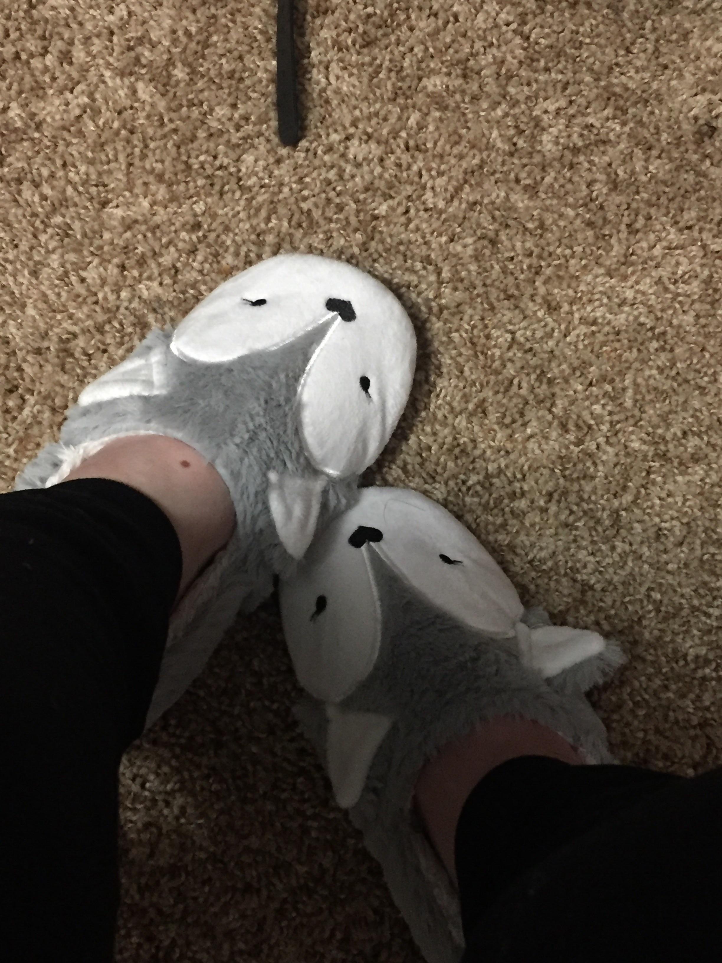 New slippers from daddy! 💕 | Scrolller