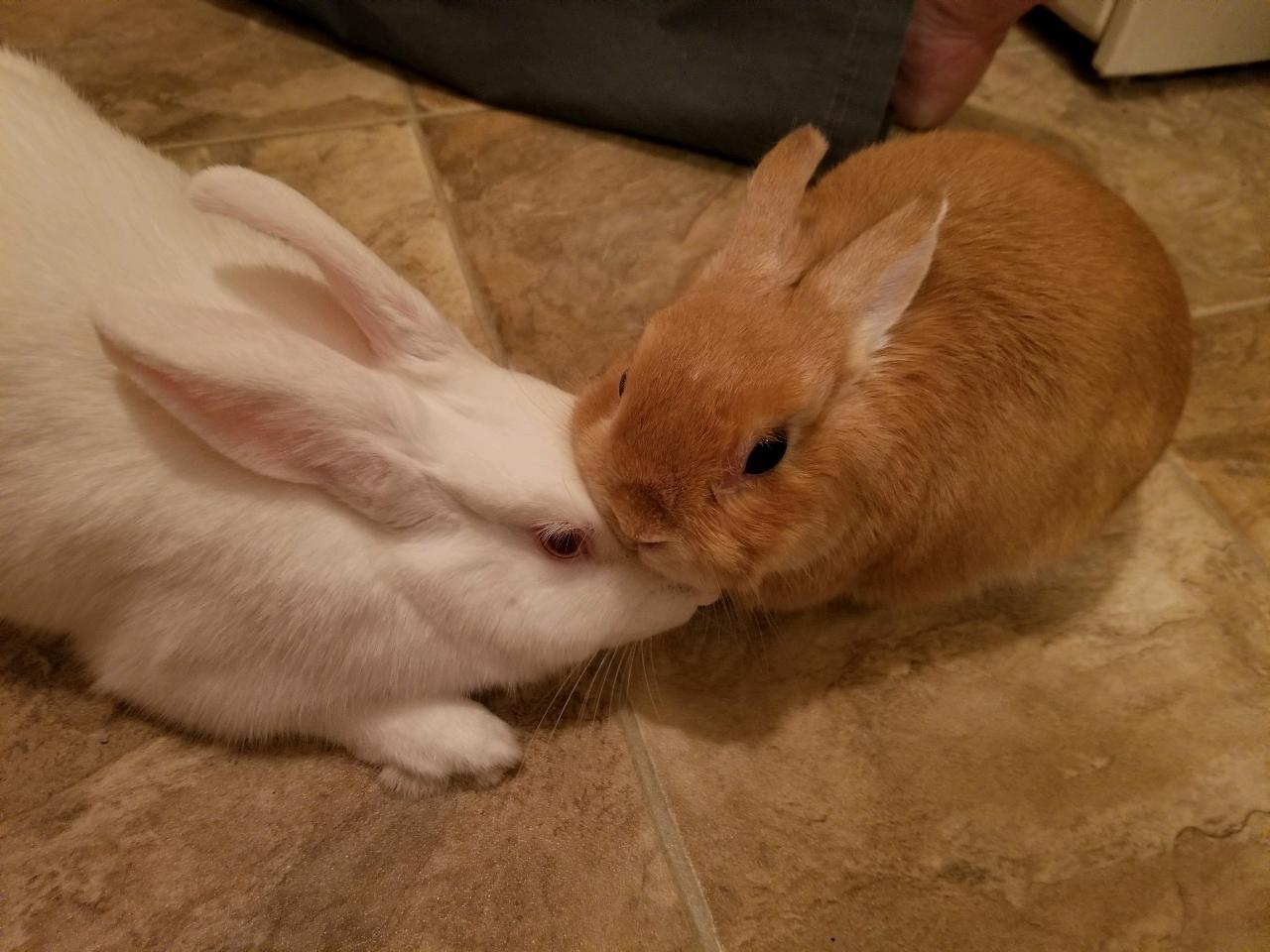 New to Reddit: Here's my buns!! | Scrolller