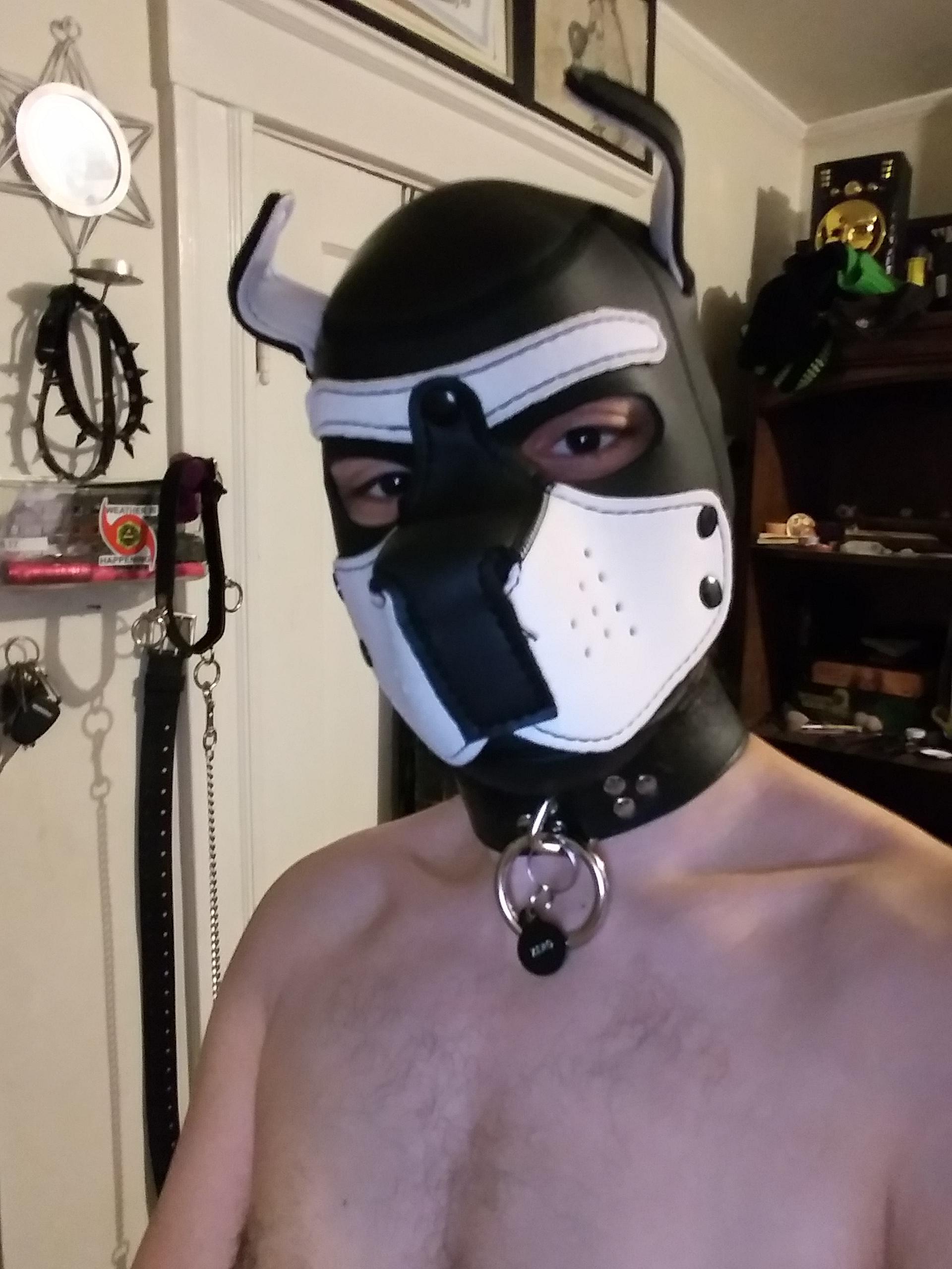 New to this, just got my first hood | Scrolller