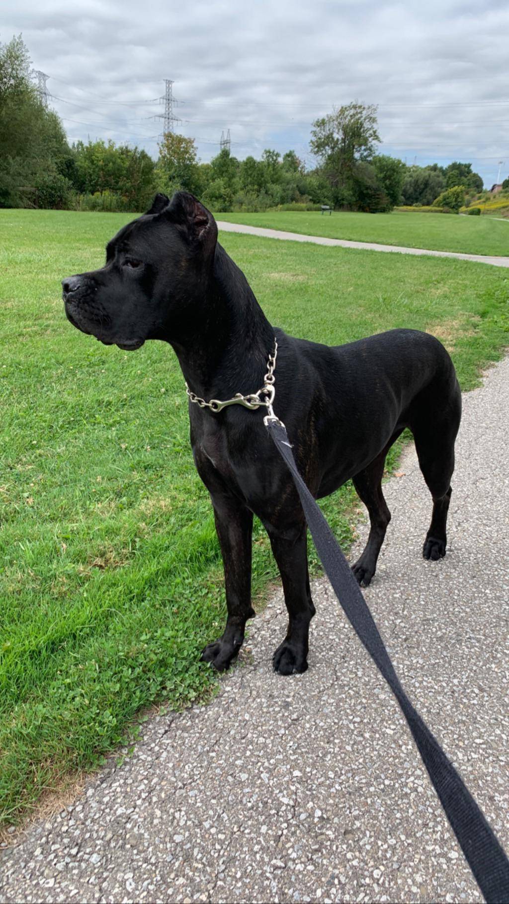 Nice form lol always on alert | Scrolller