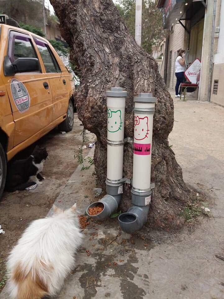 Nice try | Scrolller