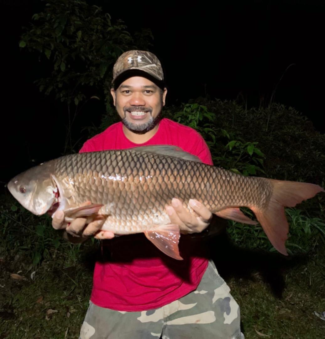 Night Spearfishing... Reko fish | Scrolller