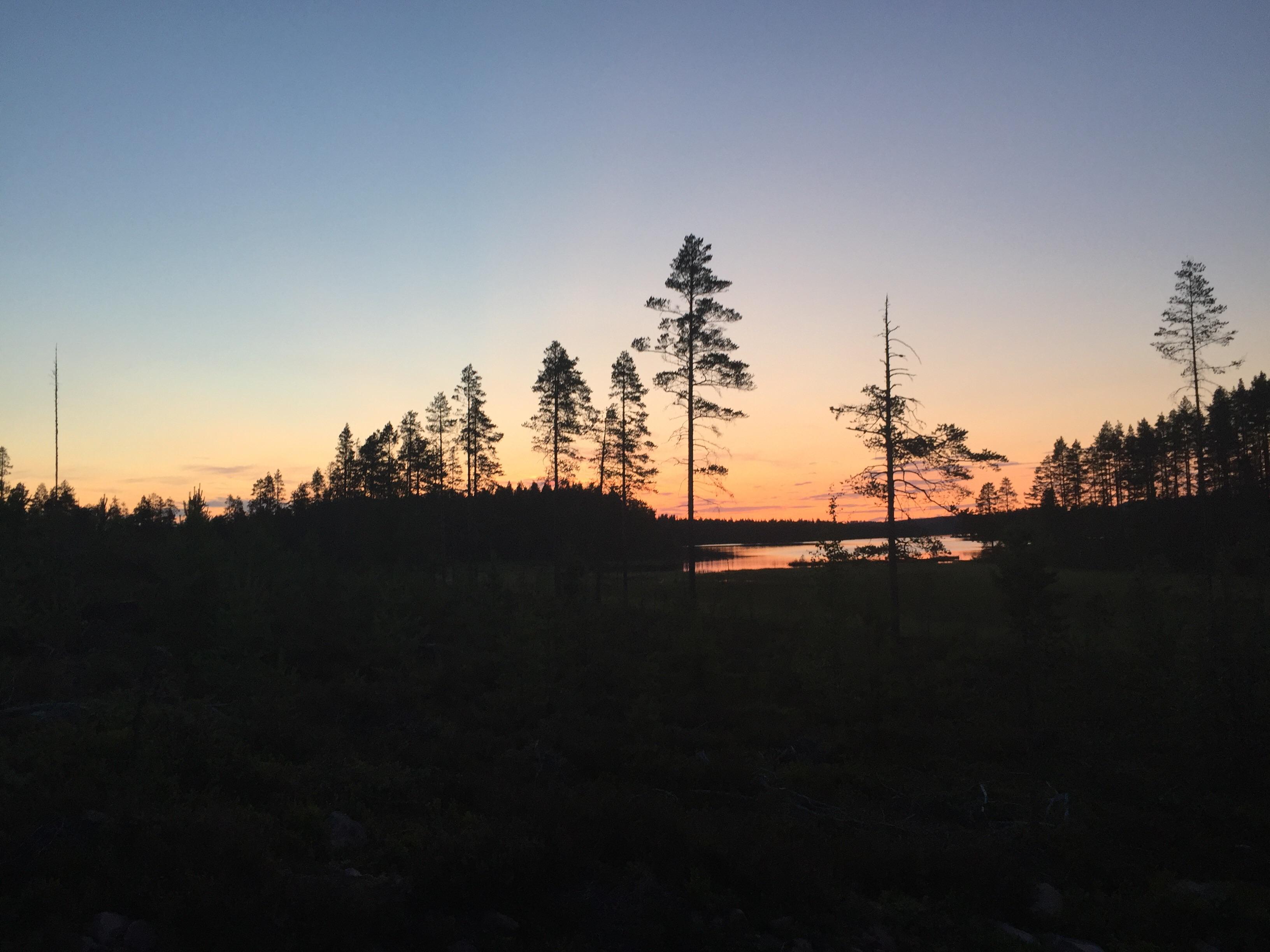 Nightwalk in the swedish wilderness | Scrolller