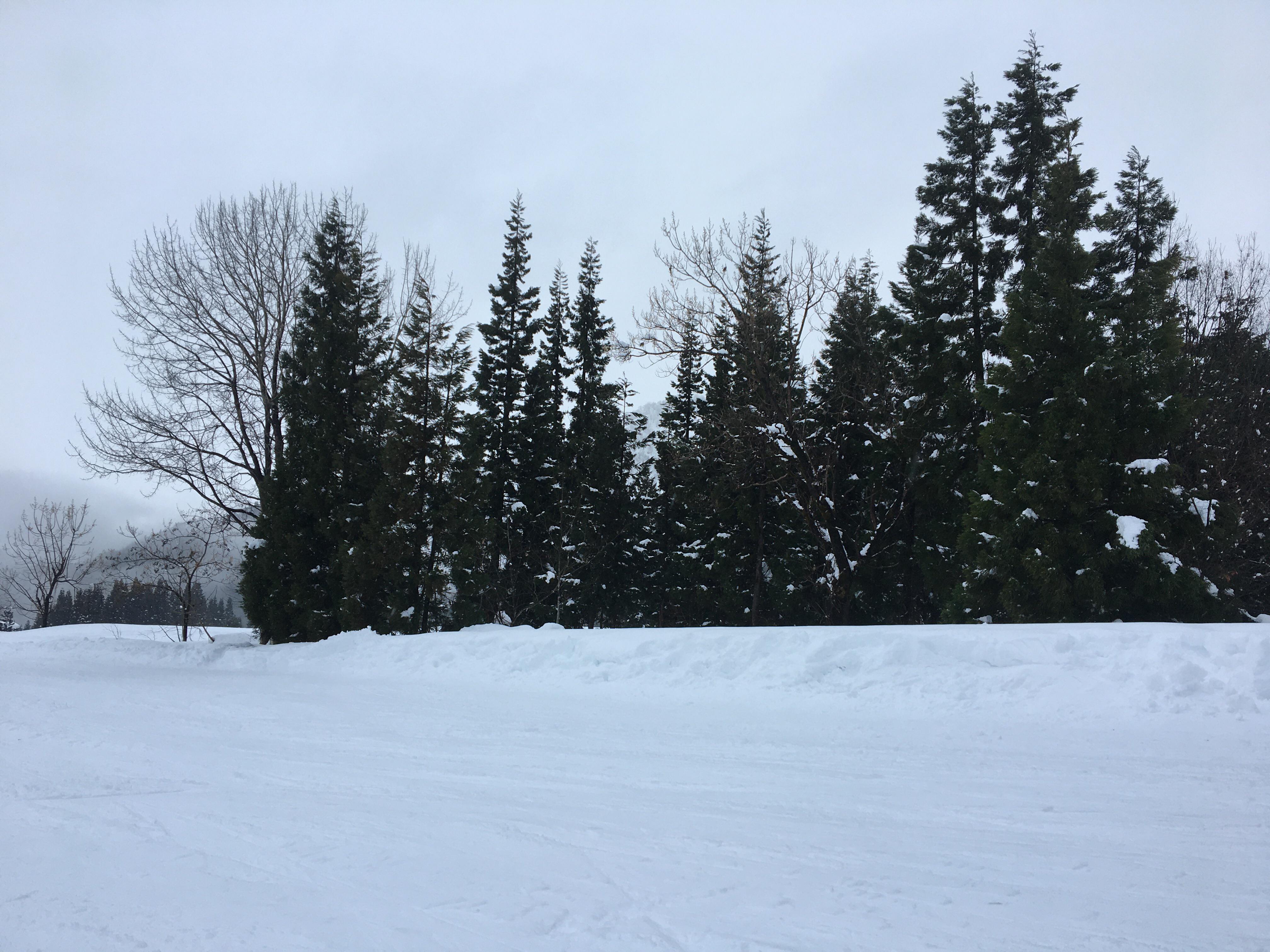 Niigata, Japan | Scrolller